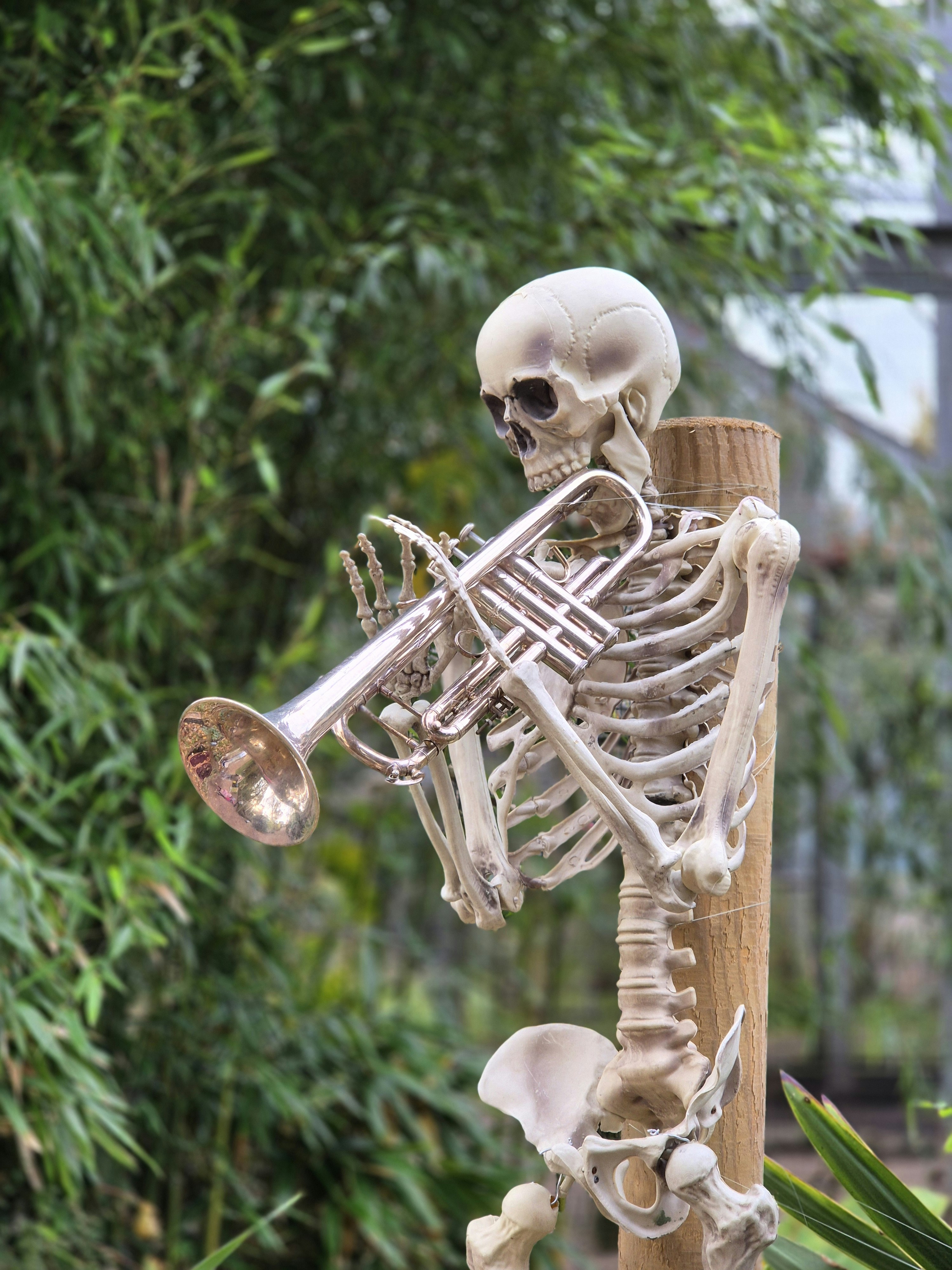 Photo by Yan Ots with SAMSUNG Galaxy S24