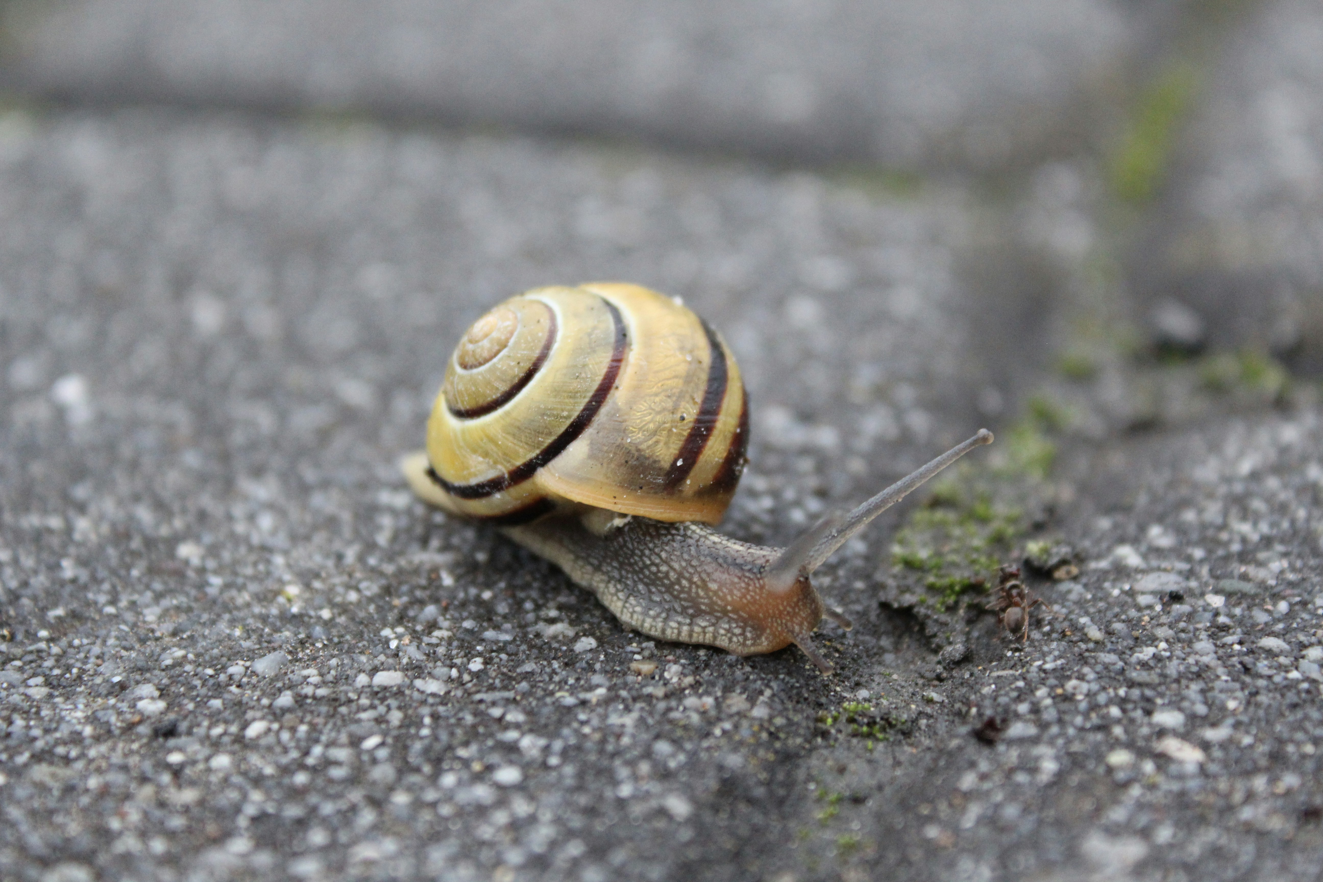 Photo by Ali Alauda with Canon EOS 1200D