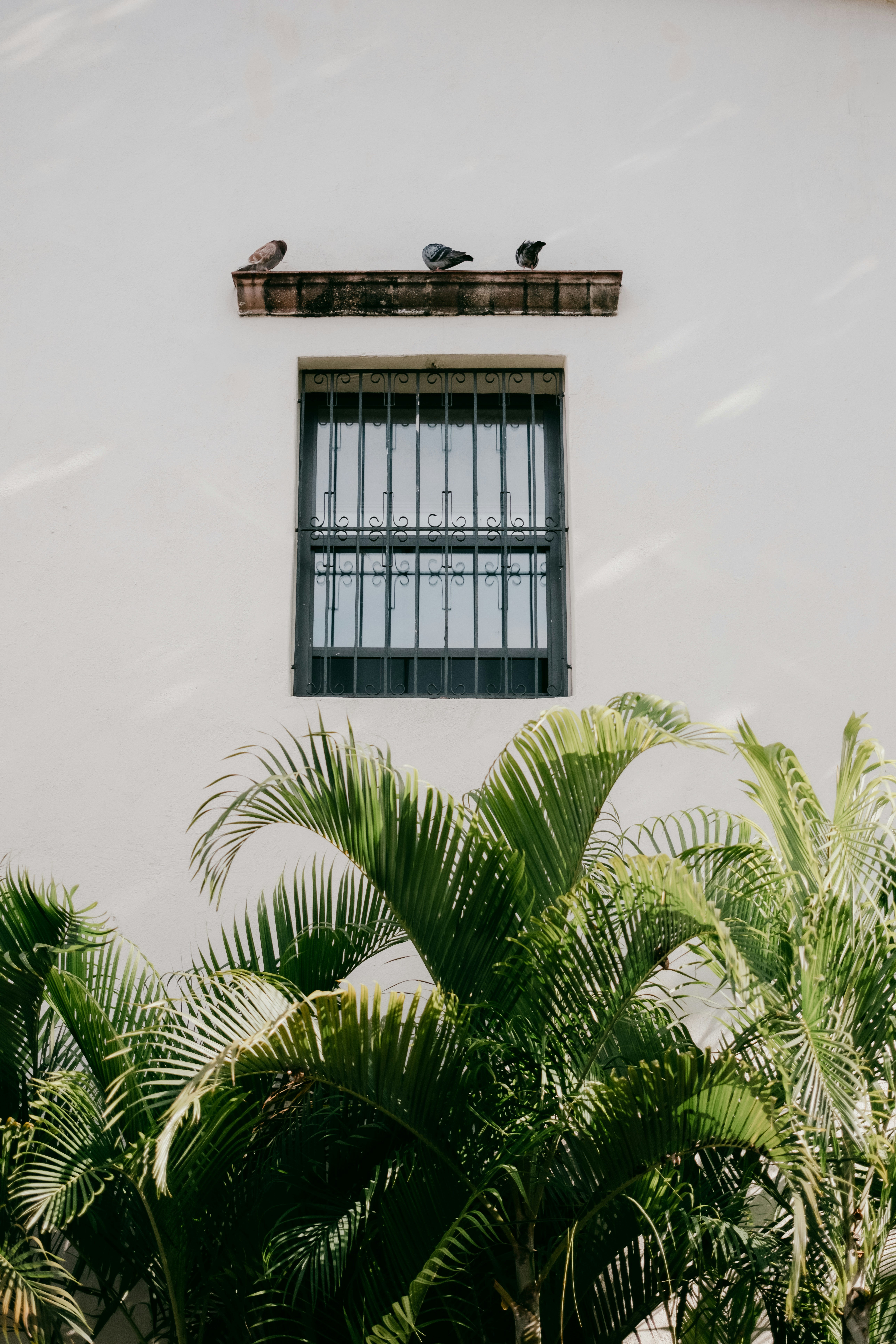 A white building with a window and two birds sitting on the window sill