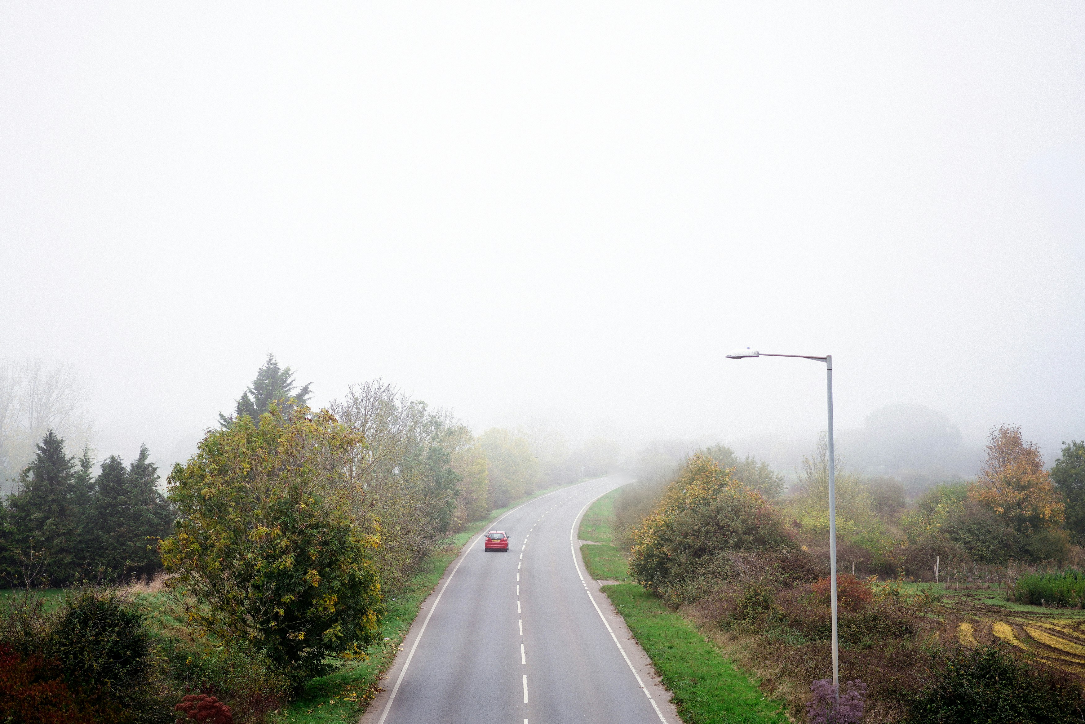Mist Over the Winding Lane