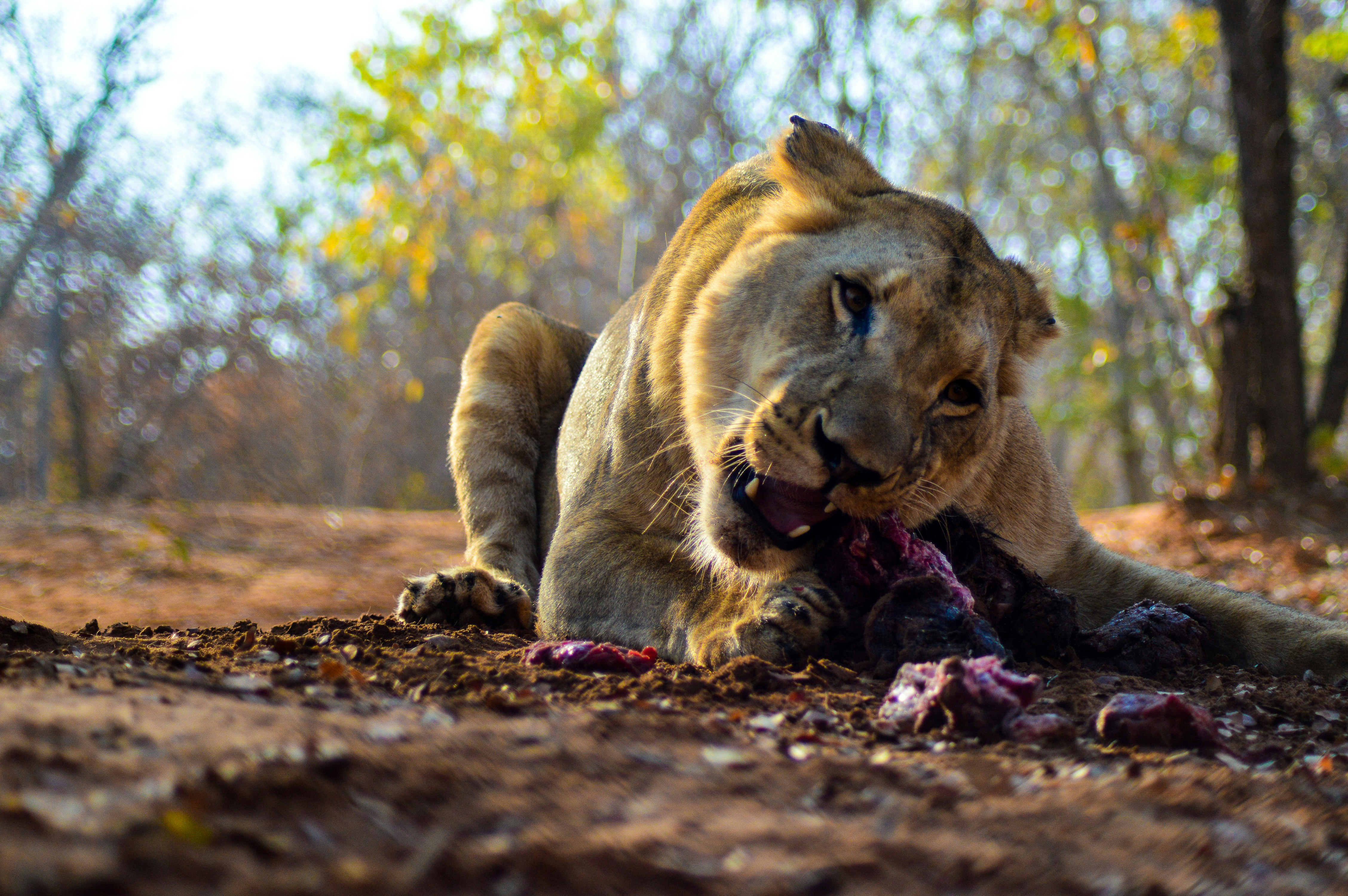 PATRICIA CHAPPLE (@patriciac1979) | Komunitas Foto Unsplash