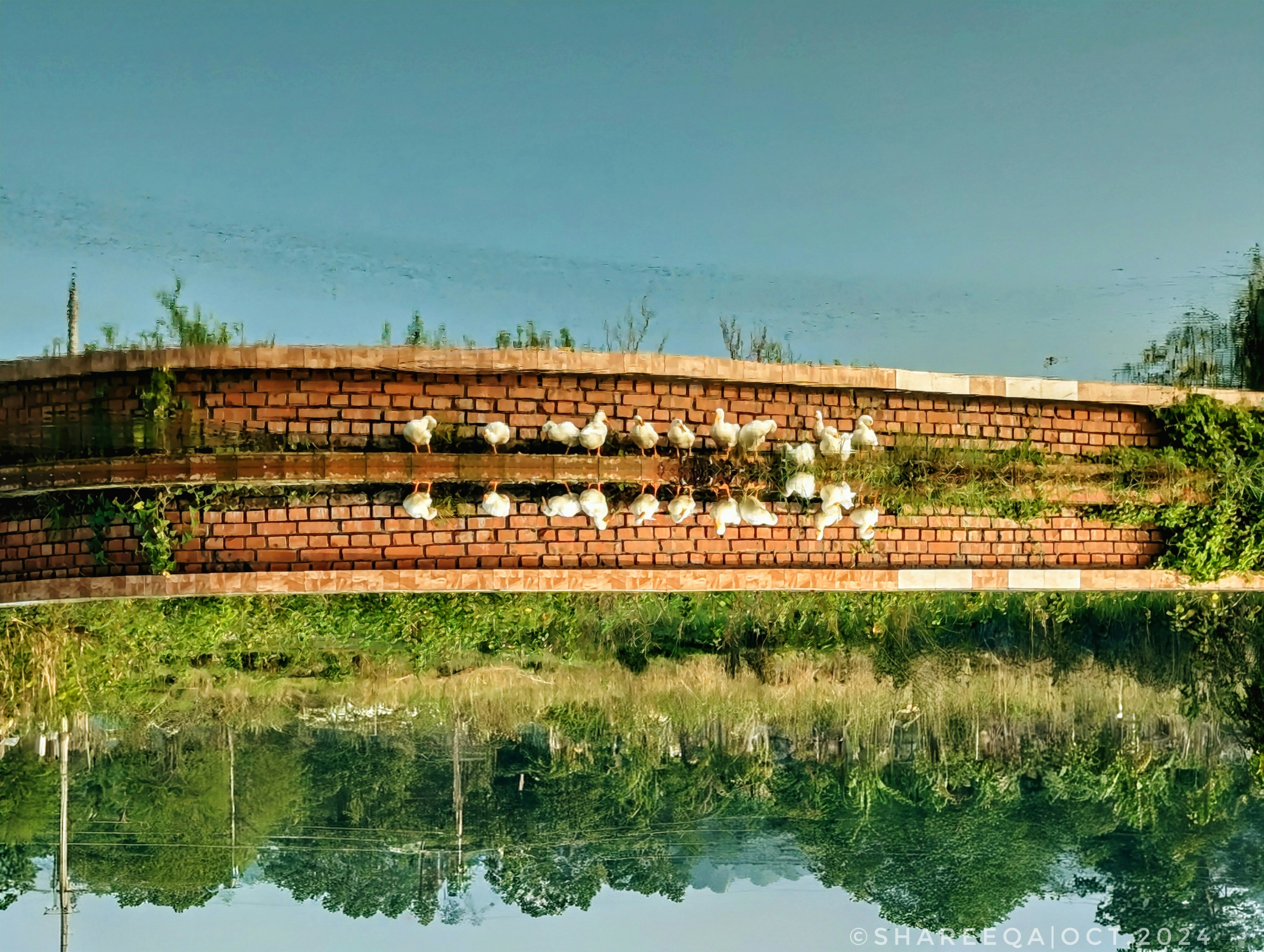 A brick bridge over a body of water photo – Free Bangladesh Image on ...