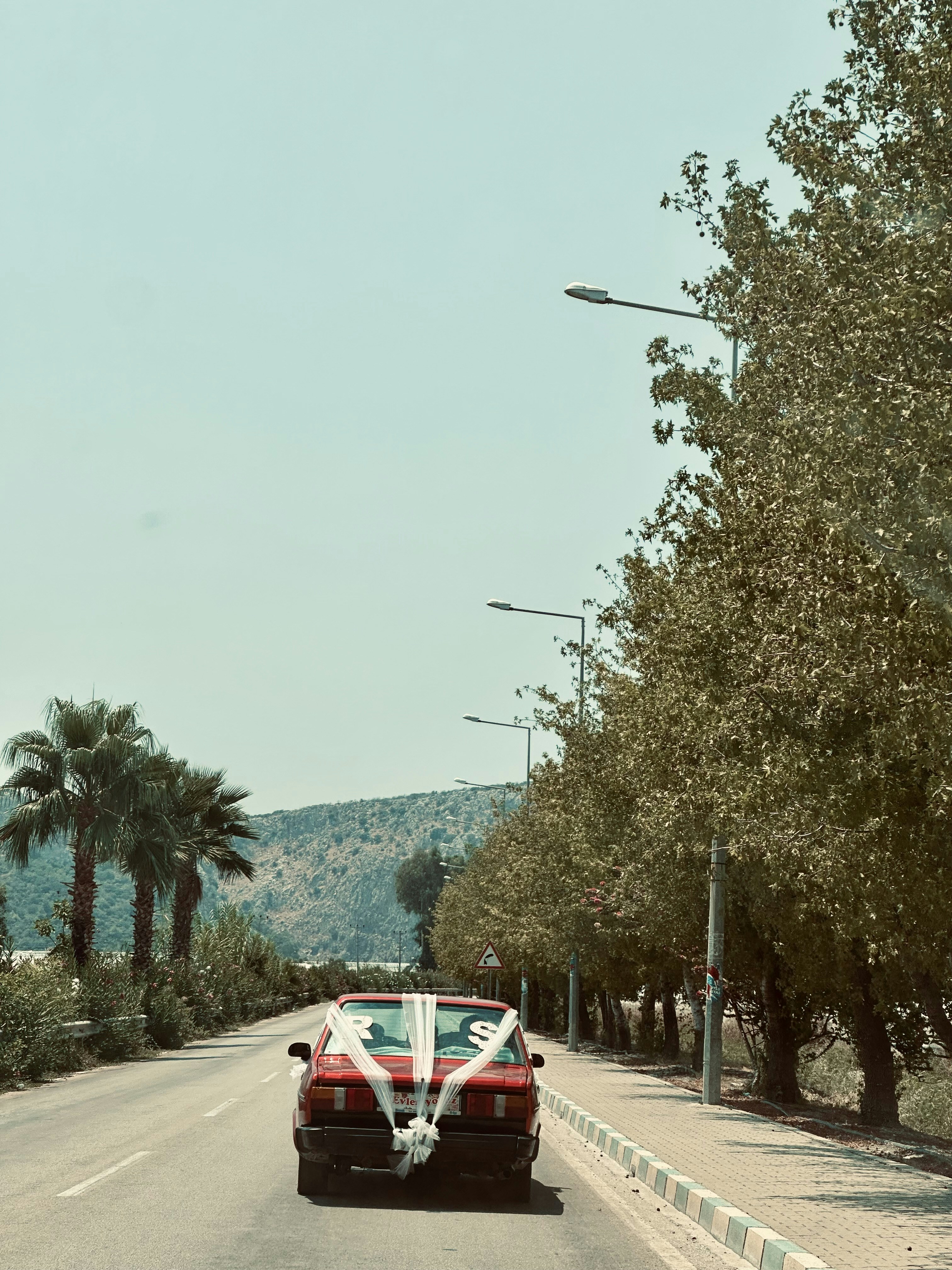 Ribboned Ride: A Wedding Car on a Palm-Lined Boulevard