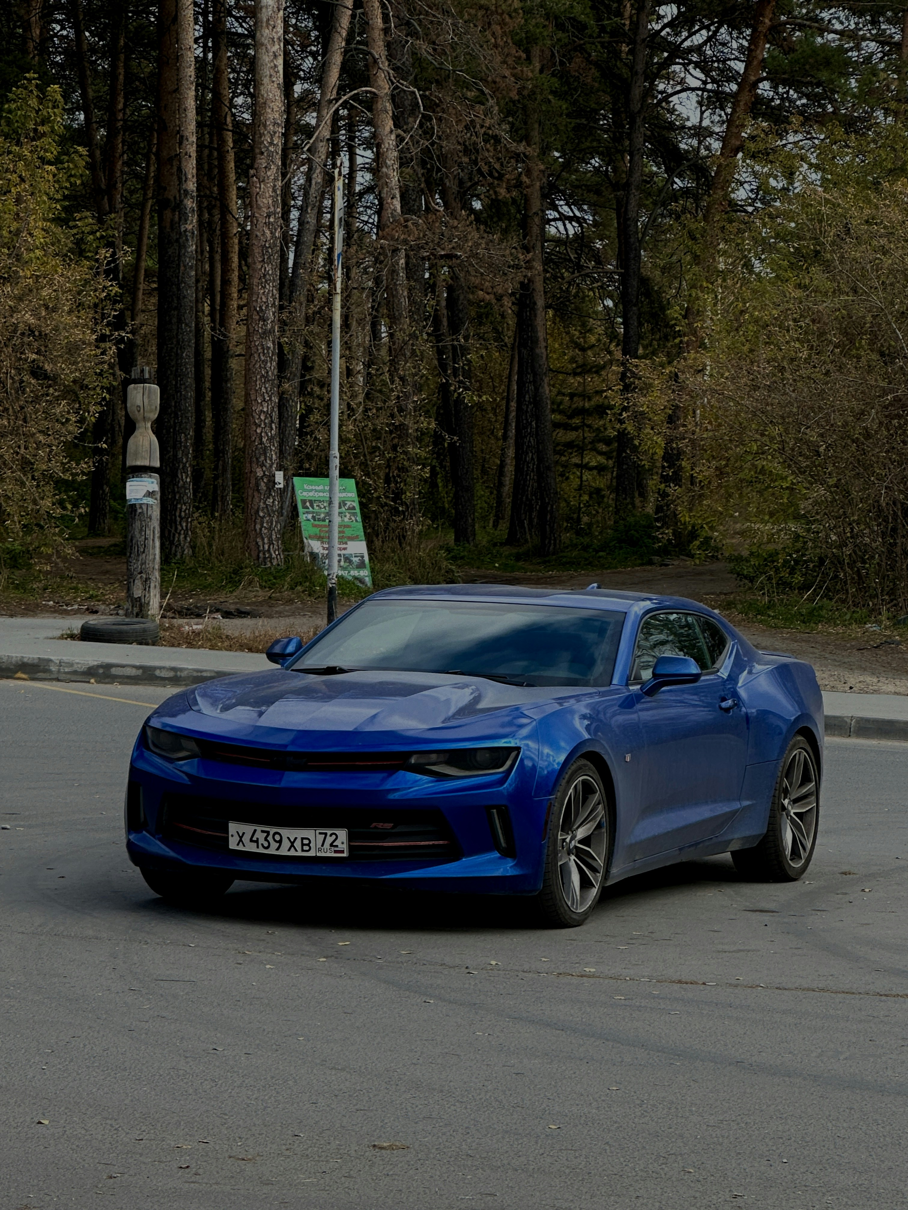 A blue car driving down a street next to a forest photo – Free Car ...