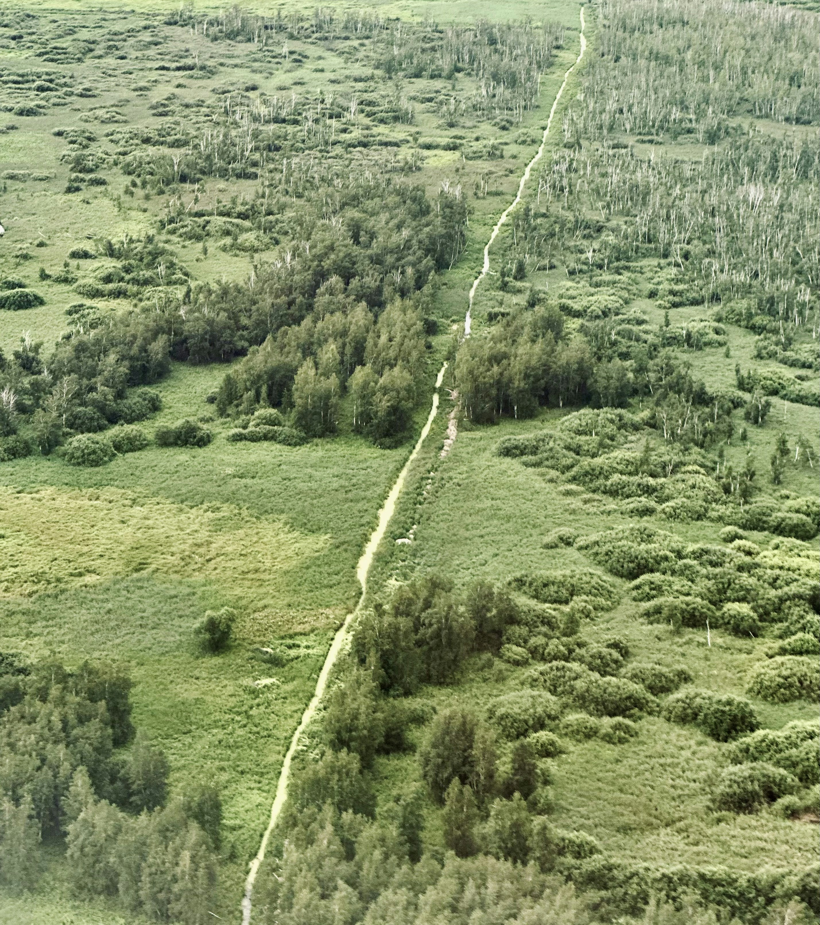 Dirt Thread Through Green: An Aerial View of a Central Road Dividing a Sea of Grass