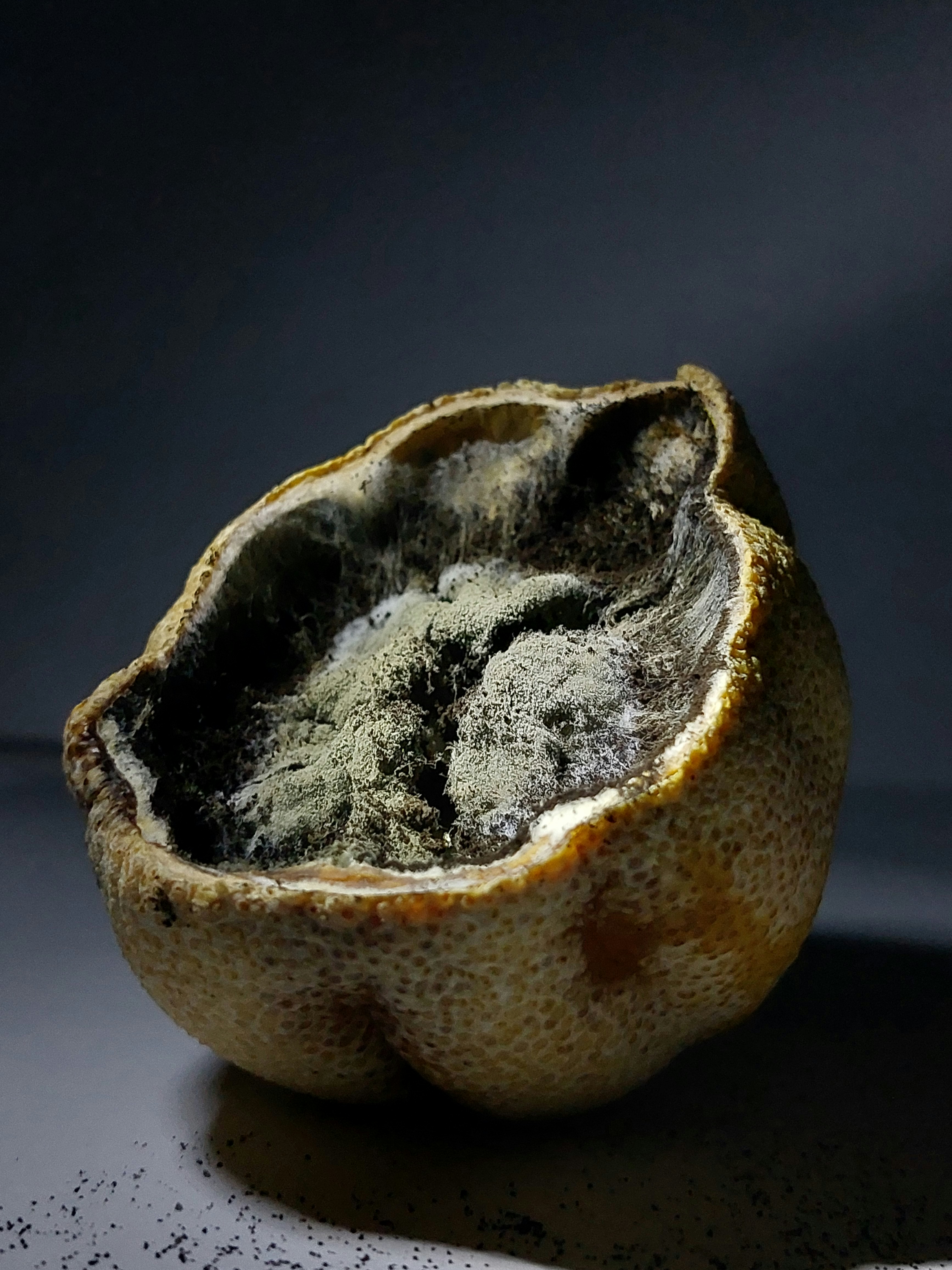 A rotten orange sitting on top of a table photo – Free Food Image on ...