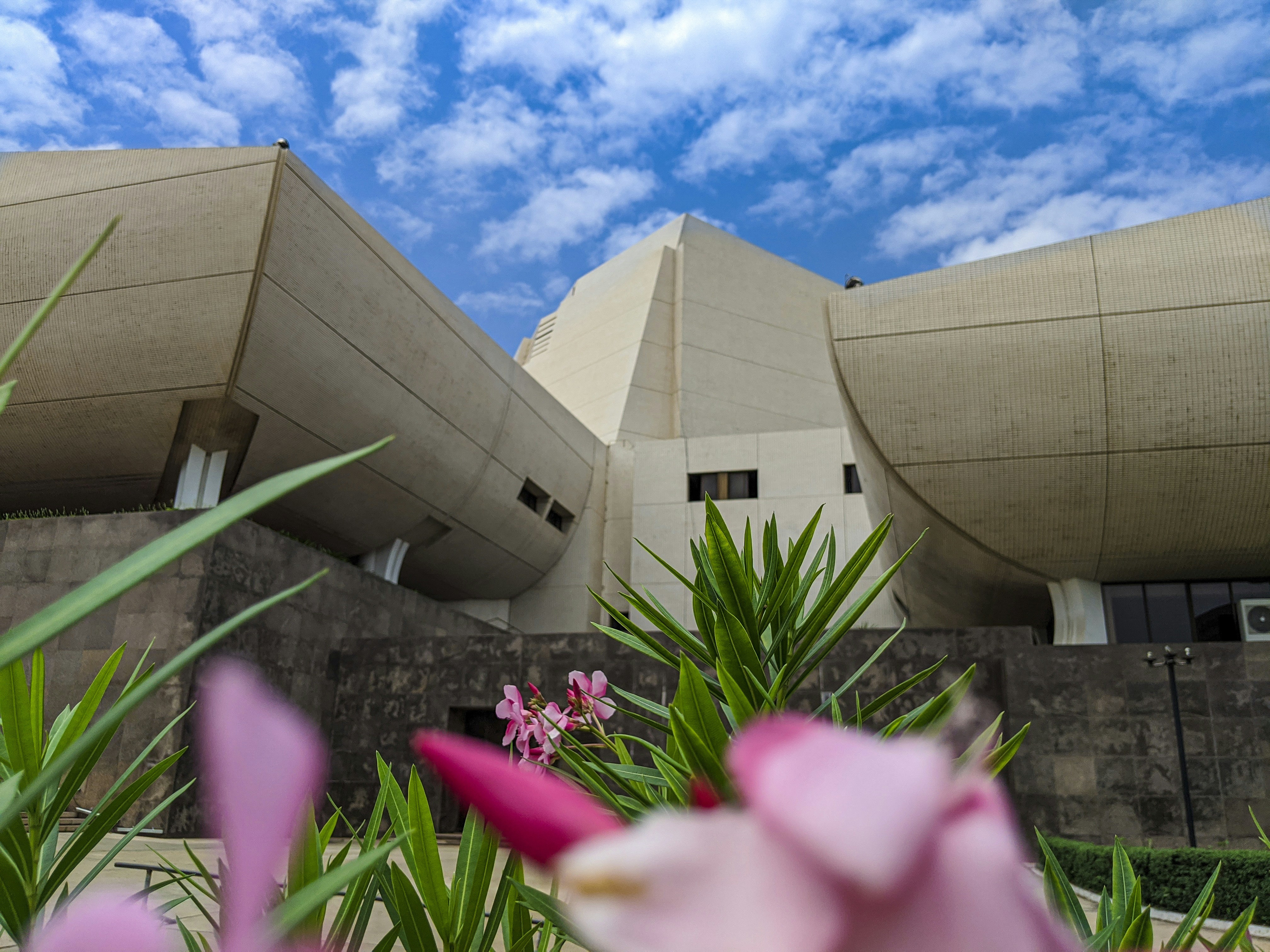 Pink flowers in focus with a modern building's curved architecture and a vibrant blue sky in the background.