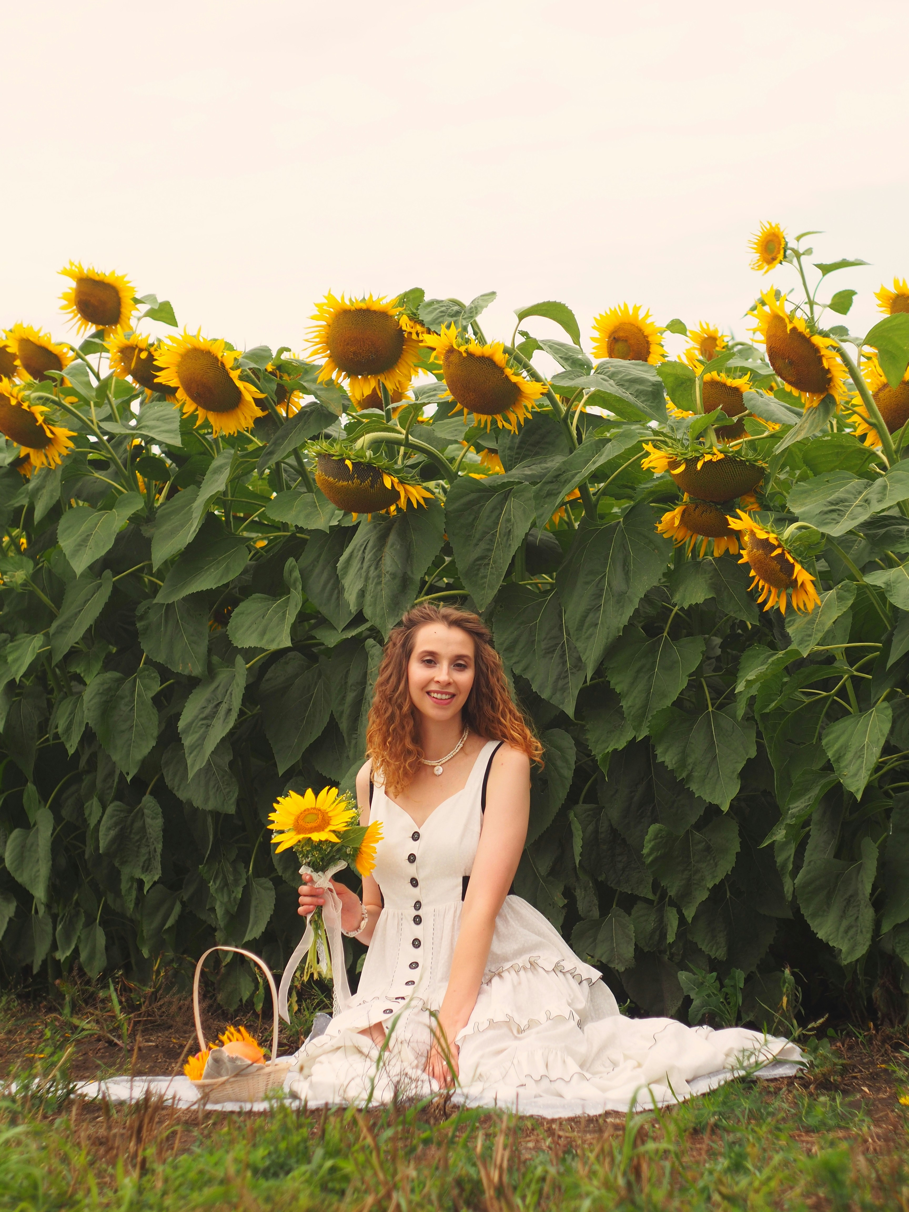 Sunflower Reverie: A Quiet Portrait Among Golden Heads