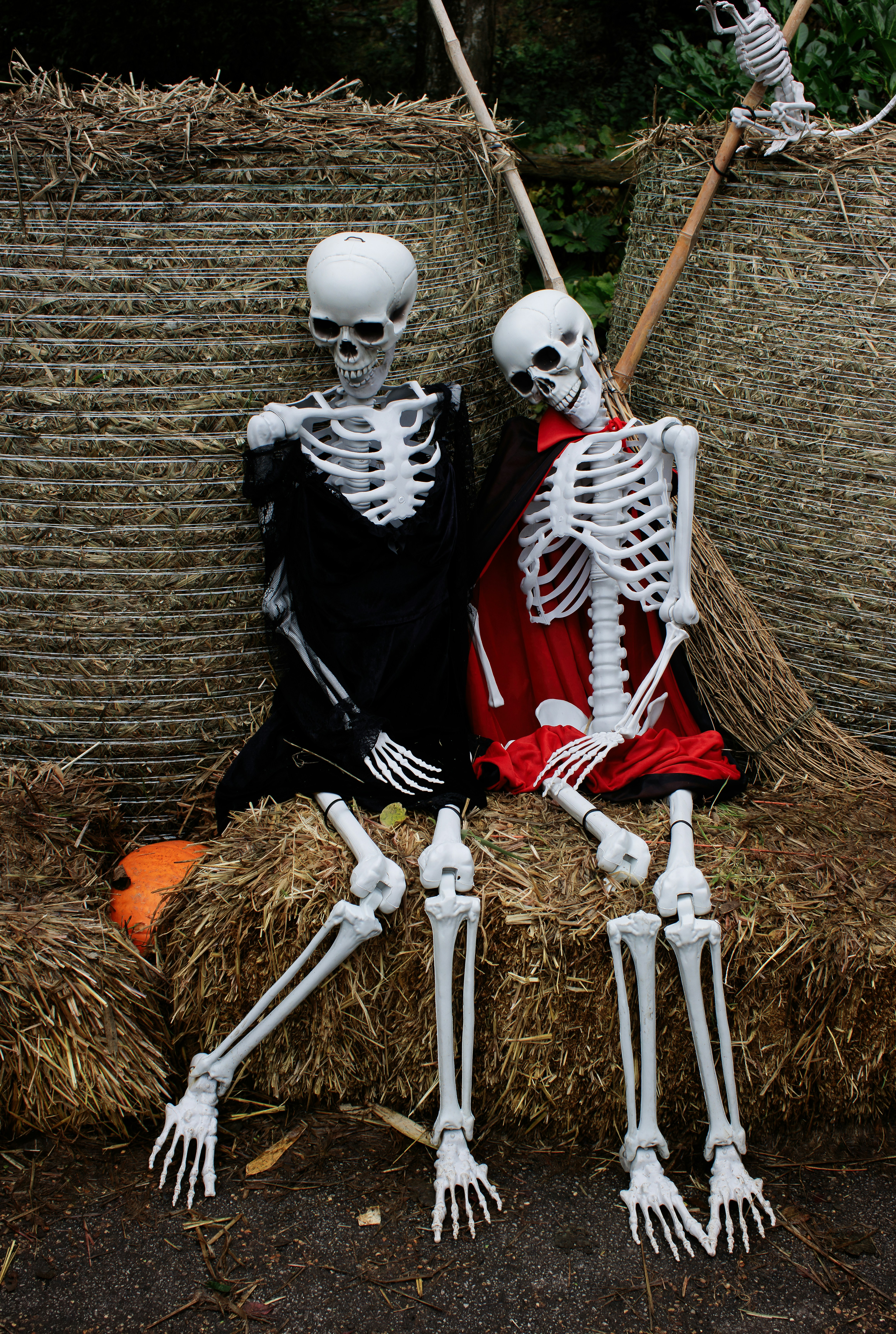 A couple of skeletons sitting on top of a pile of hay photo – Free ...