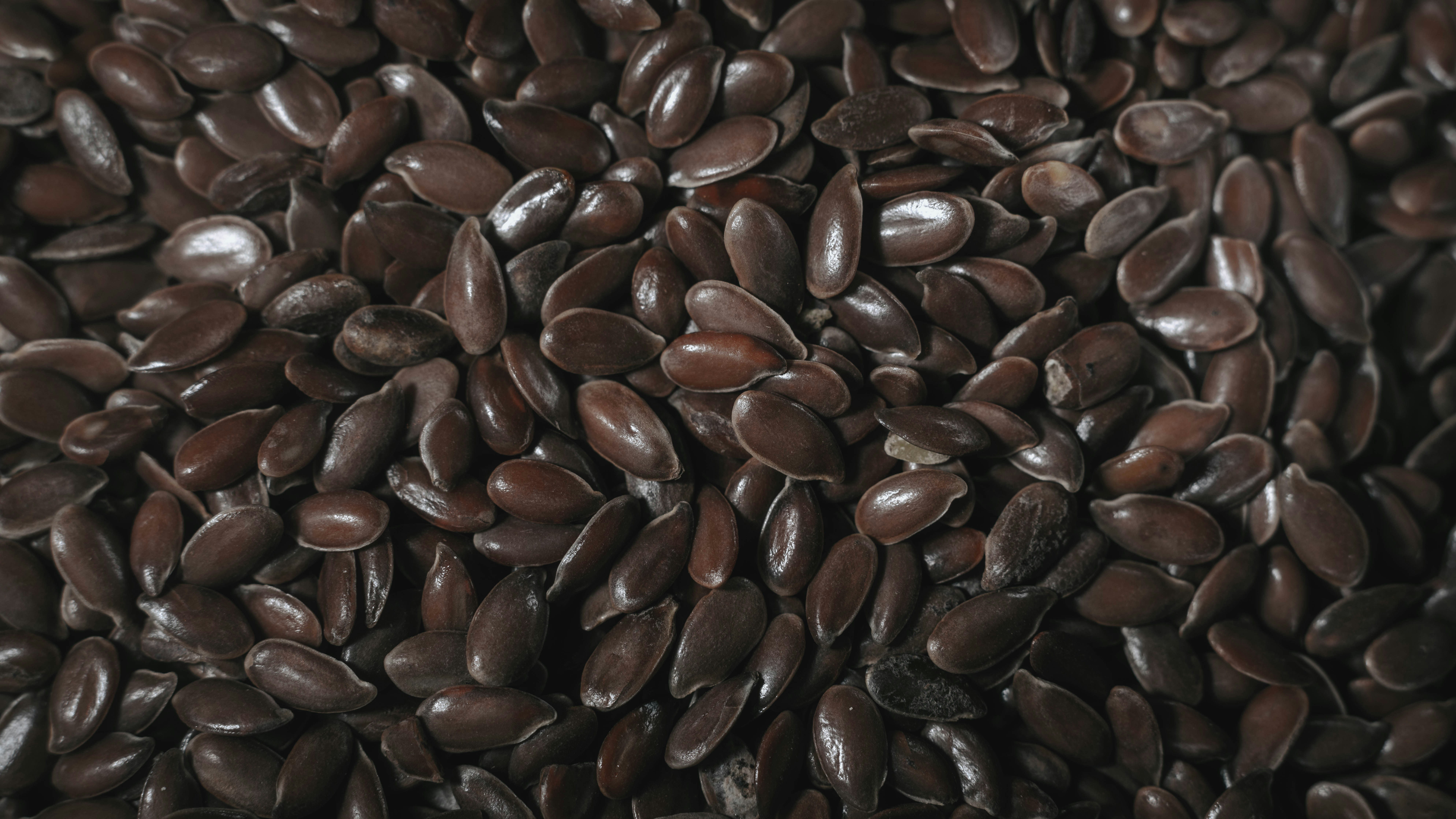 Photo by Paréj Richárd with Sony Alpha 7R III