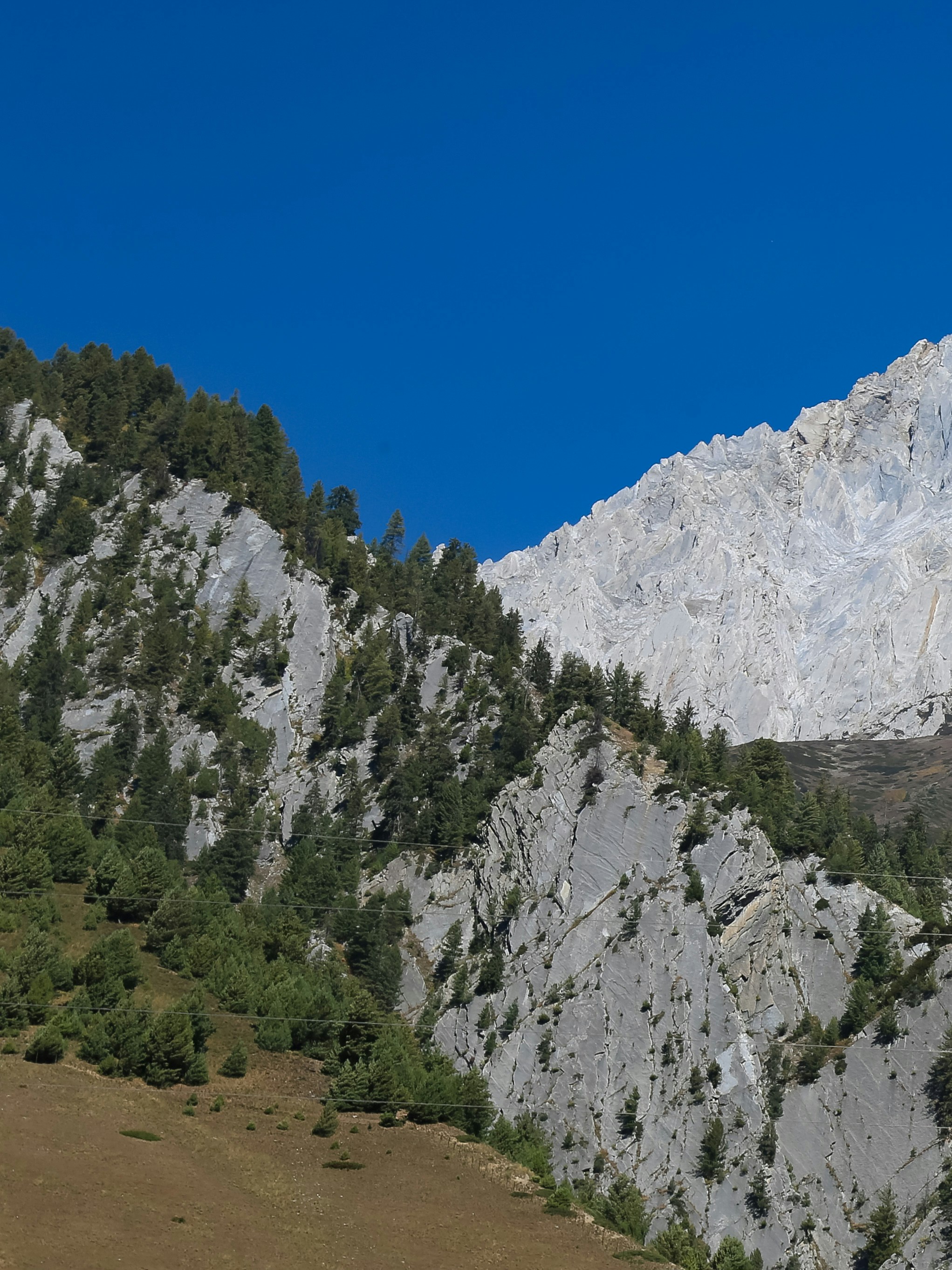 A view of a mountain side with trees on the side photo – Free Mountain ...