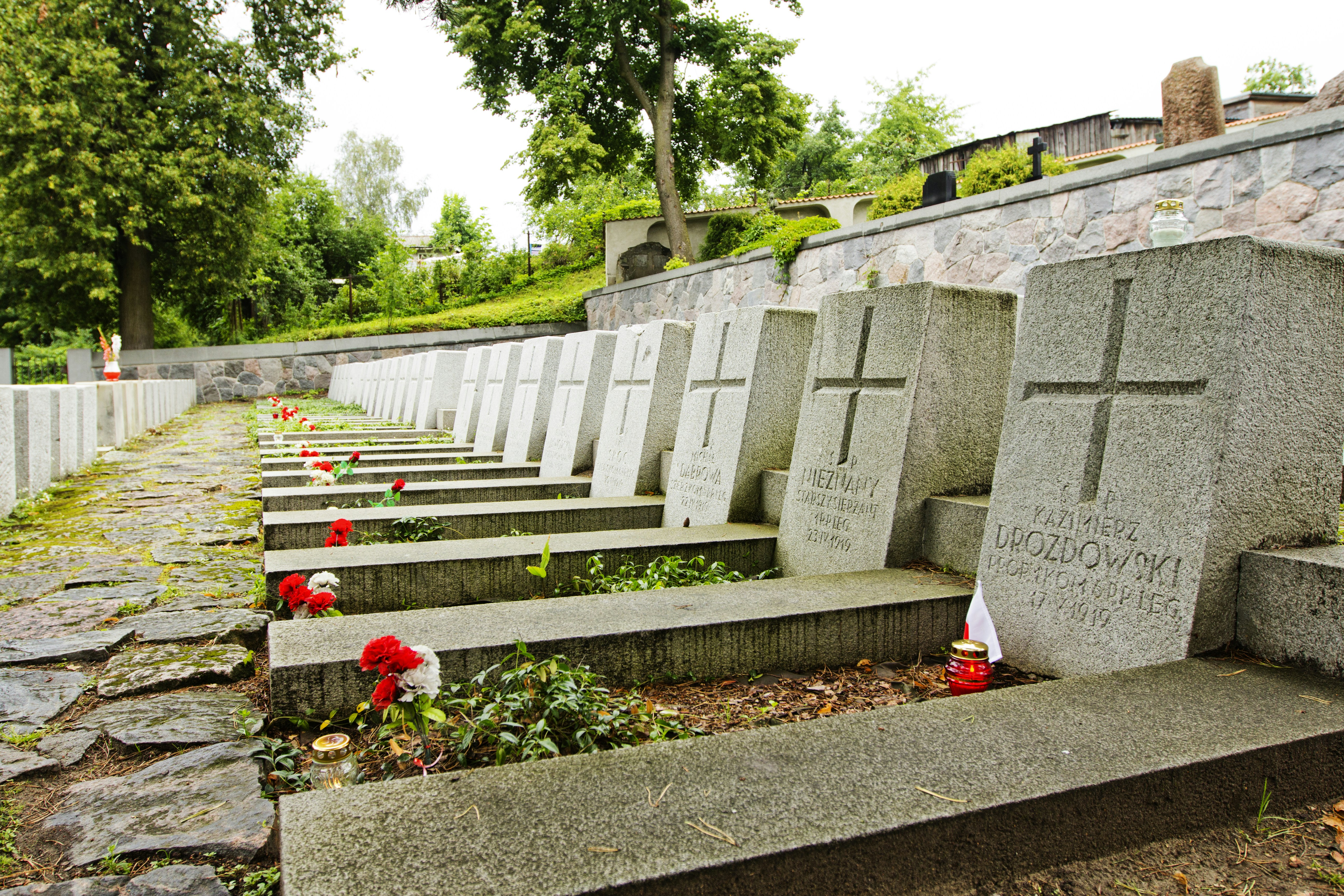 Row of gravestones with red flowers against a lush green backdrop.