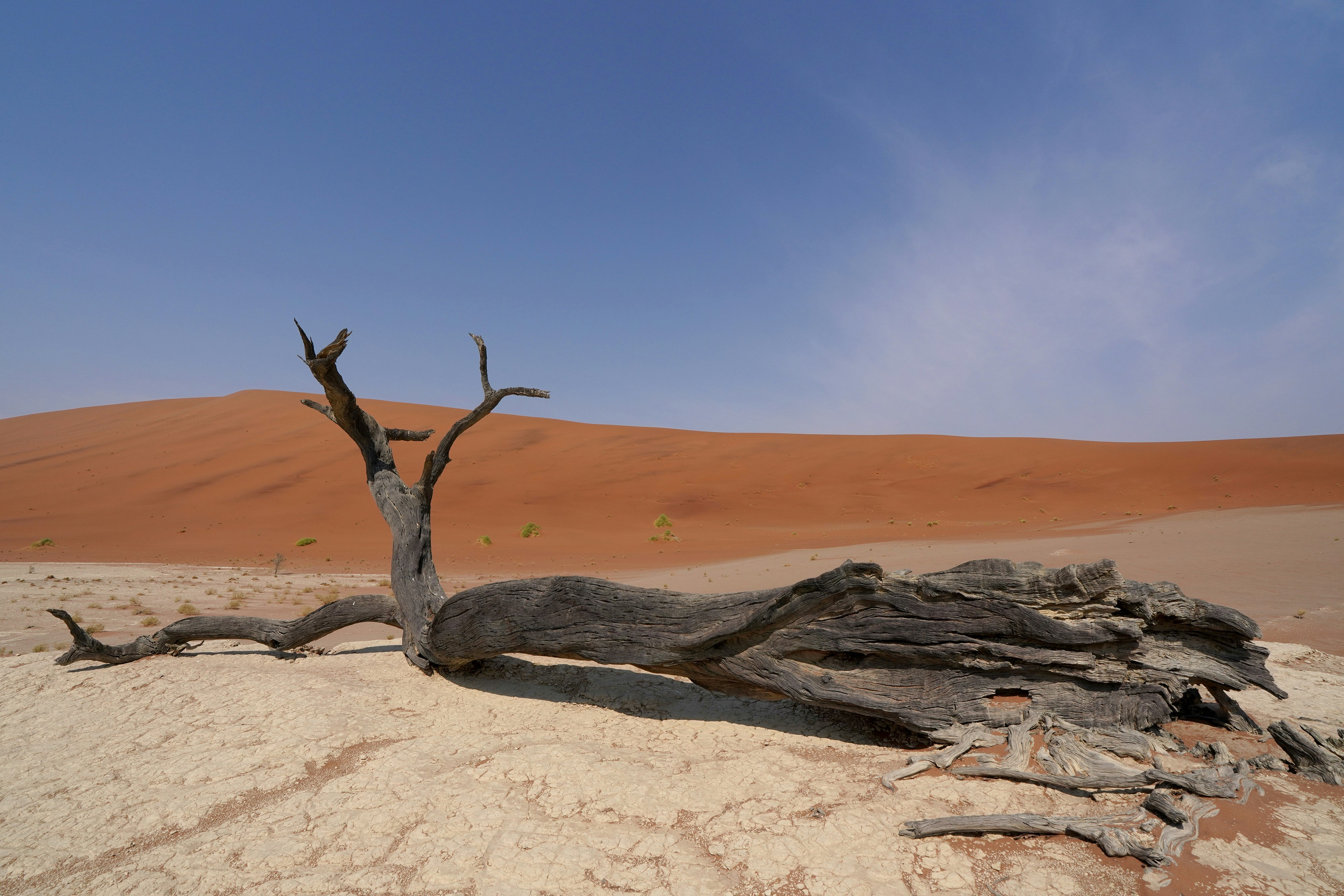Weathered Anchor in a Sea of Sand