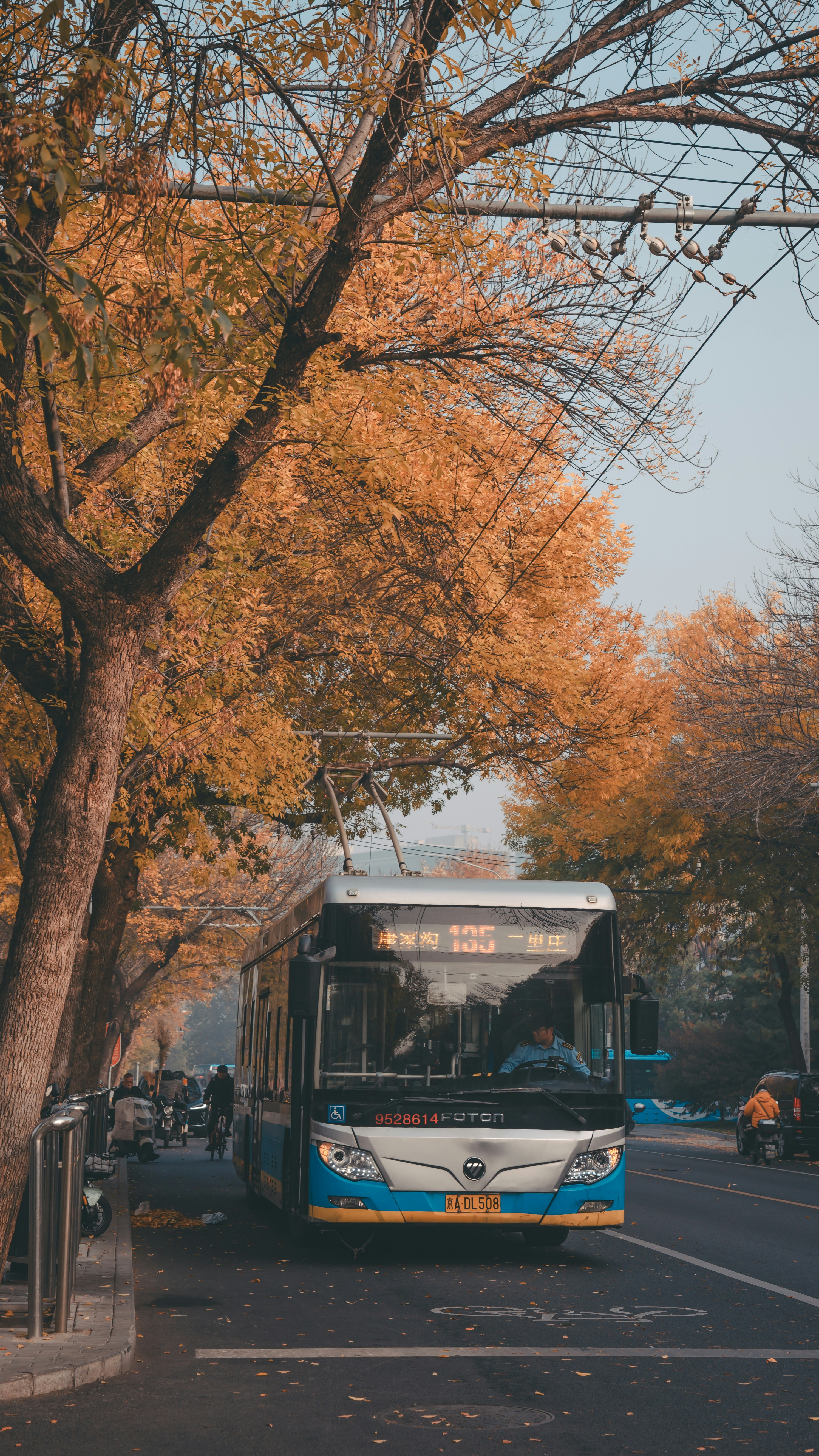 Autumn Streetcar: A Quiet Moment Beneath Golden Canopy