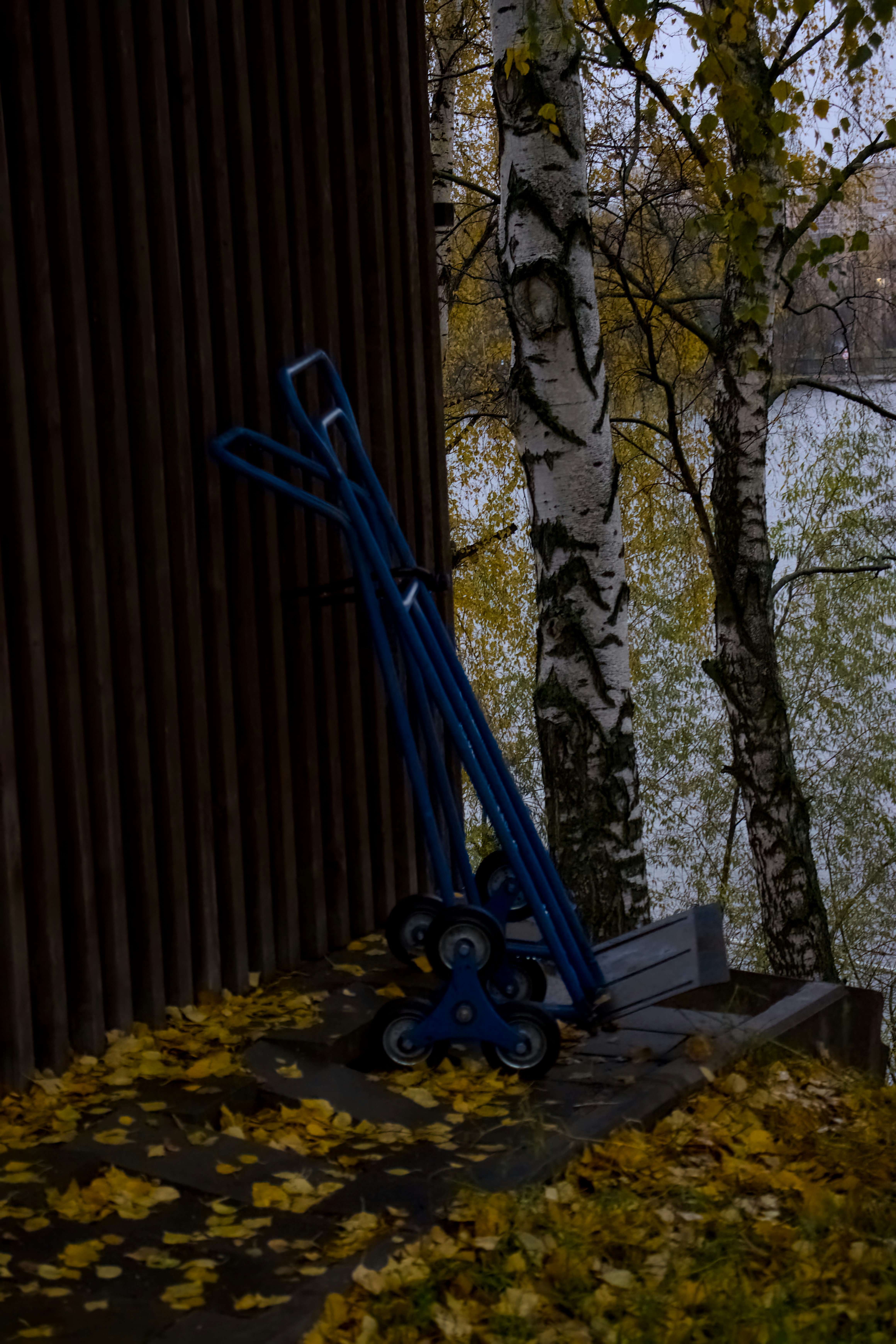 Blue Dolly Standby Against Autumn Light