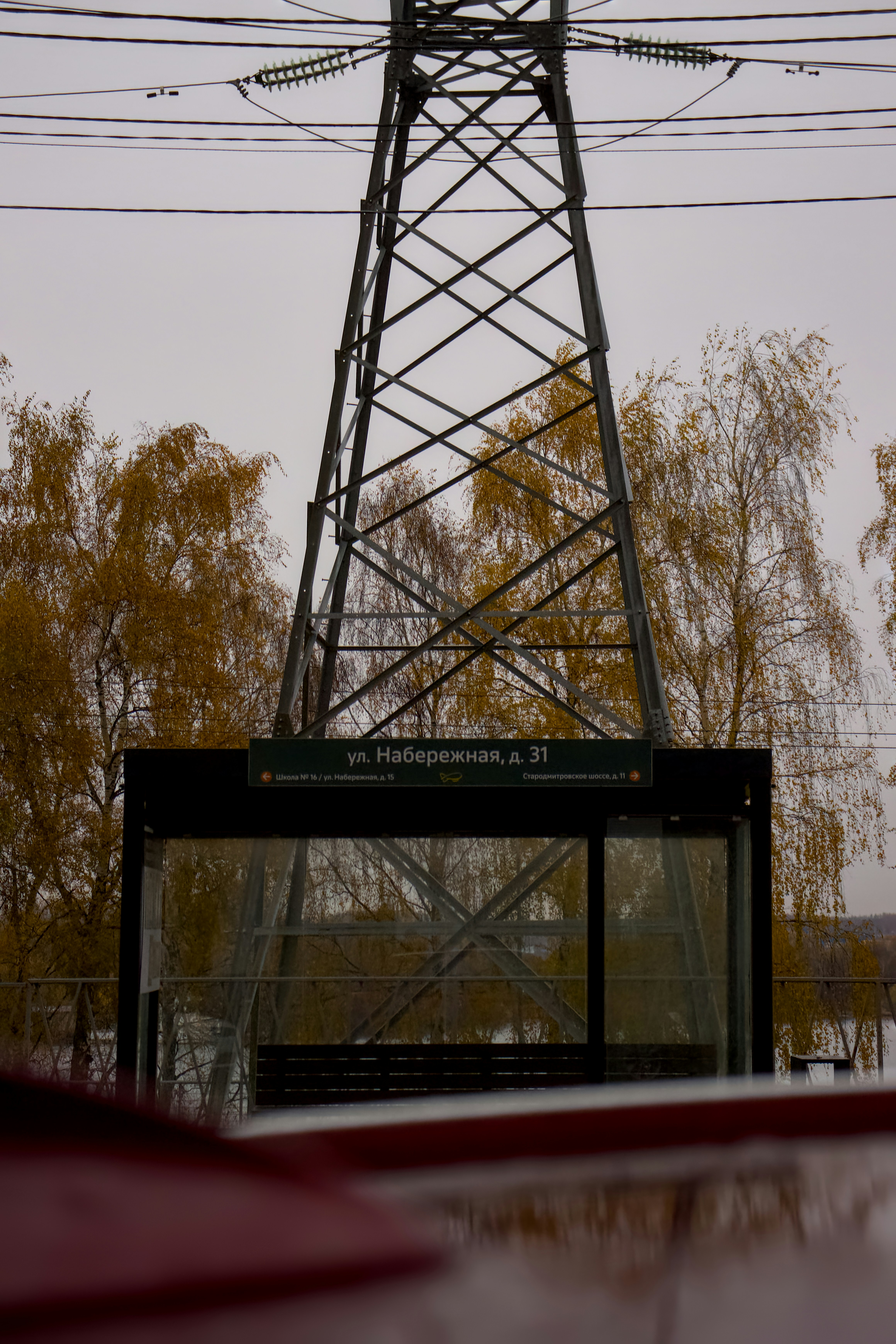 Crisscrossed Tower Framed by Autumn Trees on Naberezhnaya Embankment