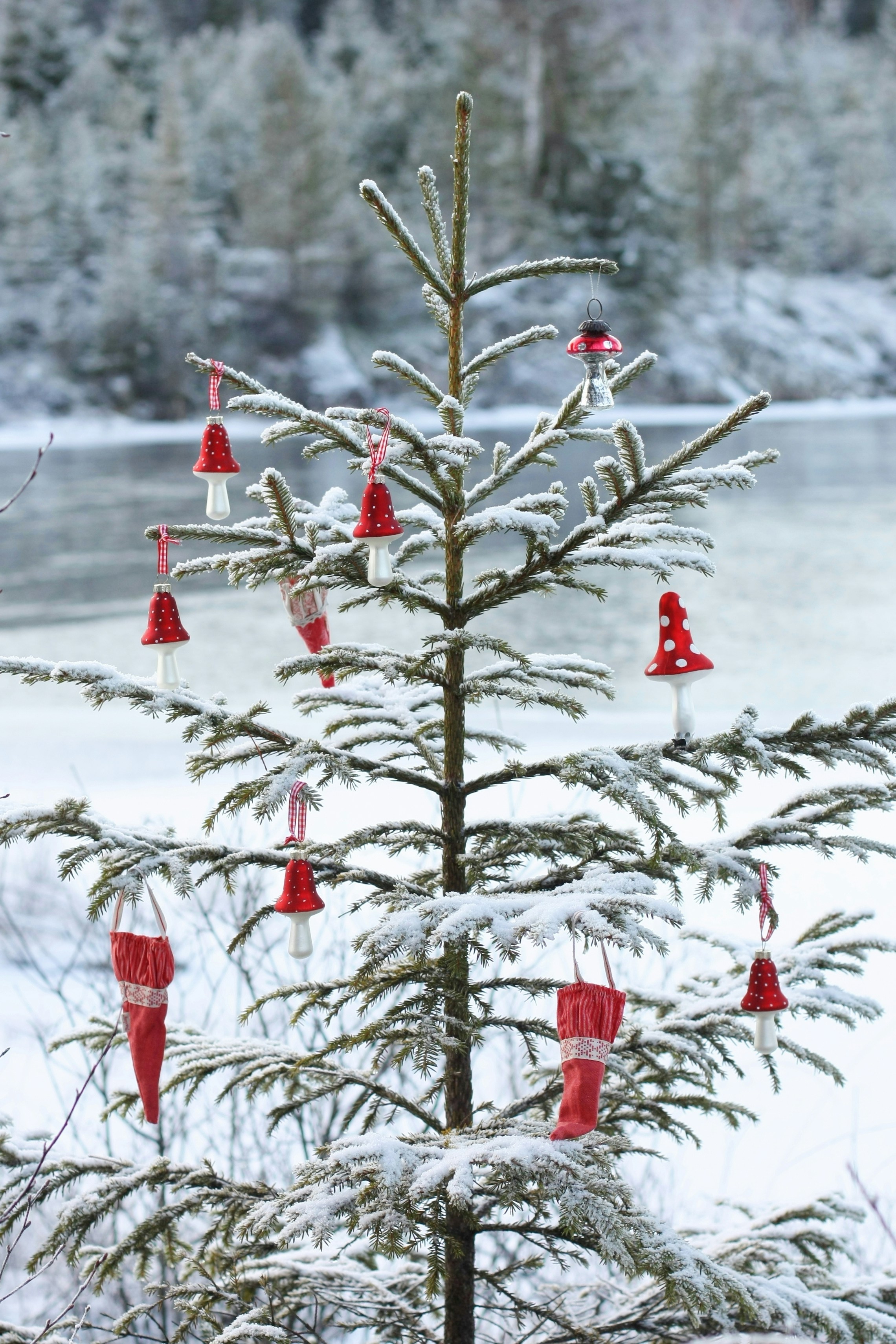 A decorated Christmas tree