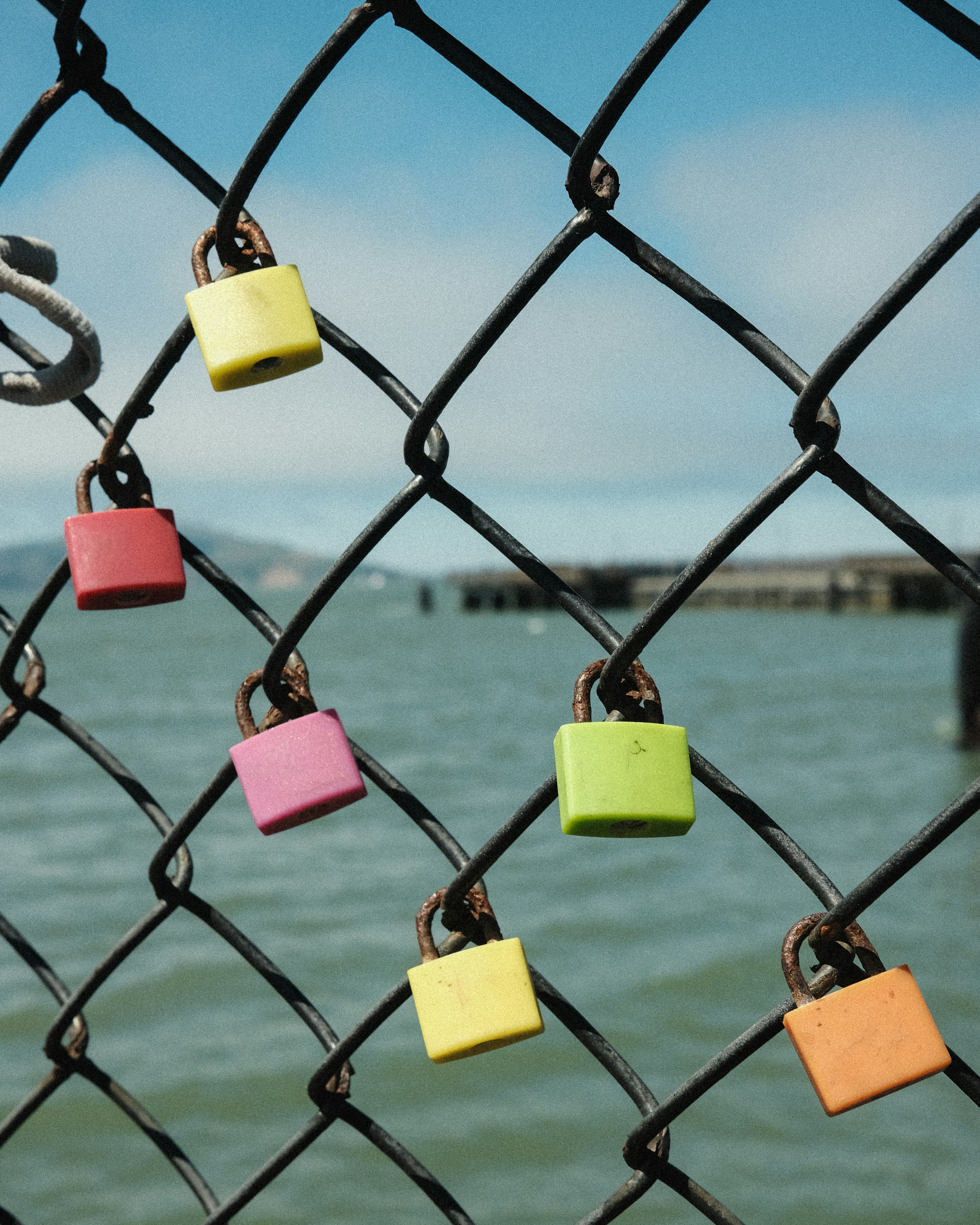 Vibrant padlocks hang from a chain-link fence overlooking a serene waterway, symbolizing connections and memories. The distant pier adds depth to the scene.
