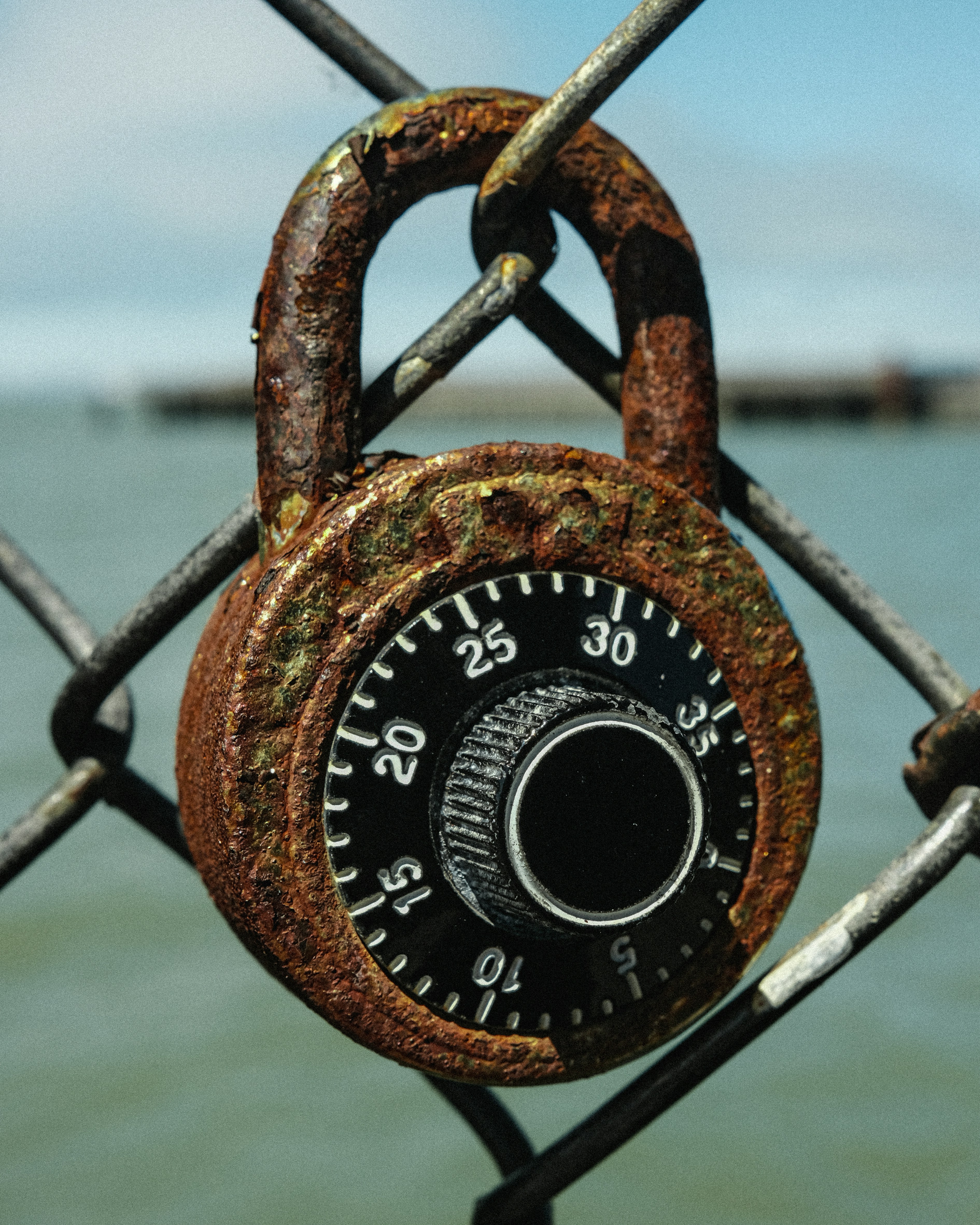Weathered combination lock attached to a chain-link fence, hinting at forgotten secrets. The backdrop features a serene body of water.