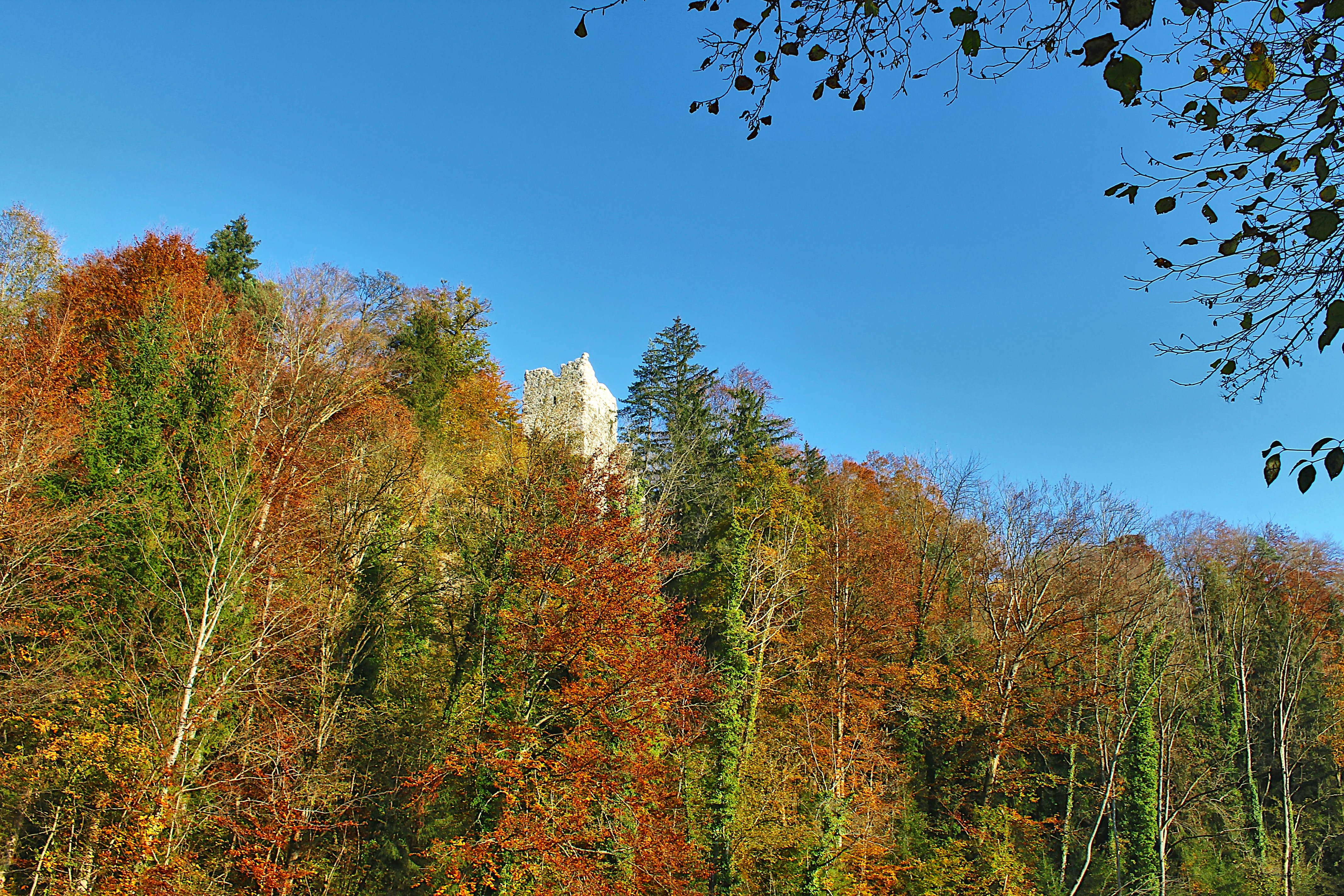 Unmissable: The castle ruins of Alt-Ramschwag seen from the river Sitter