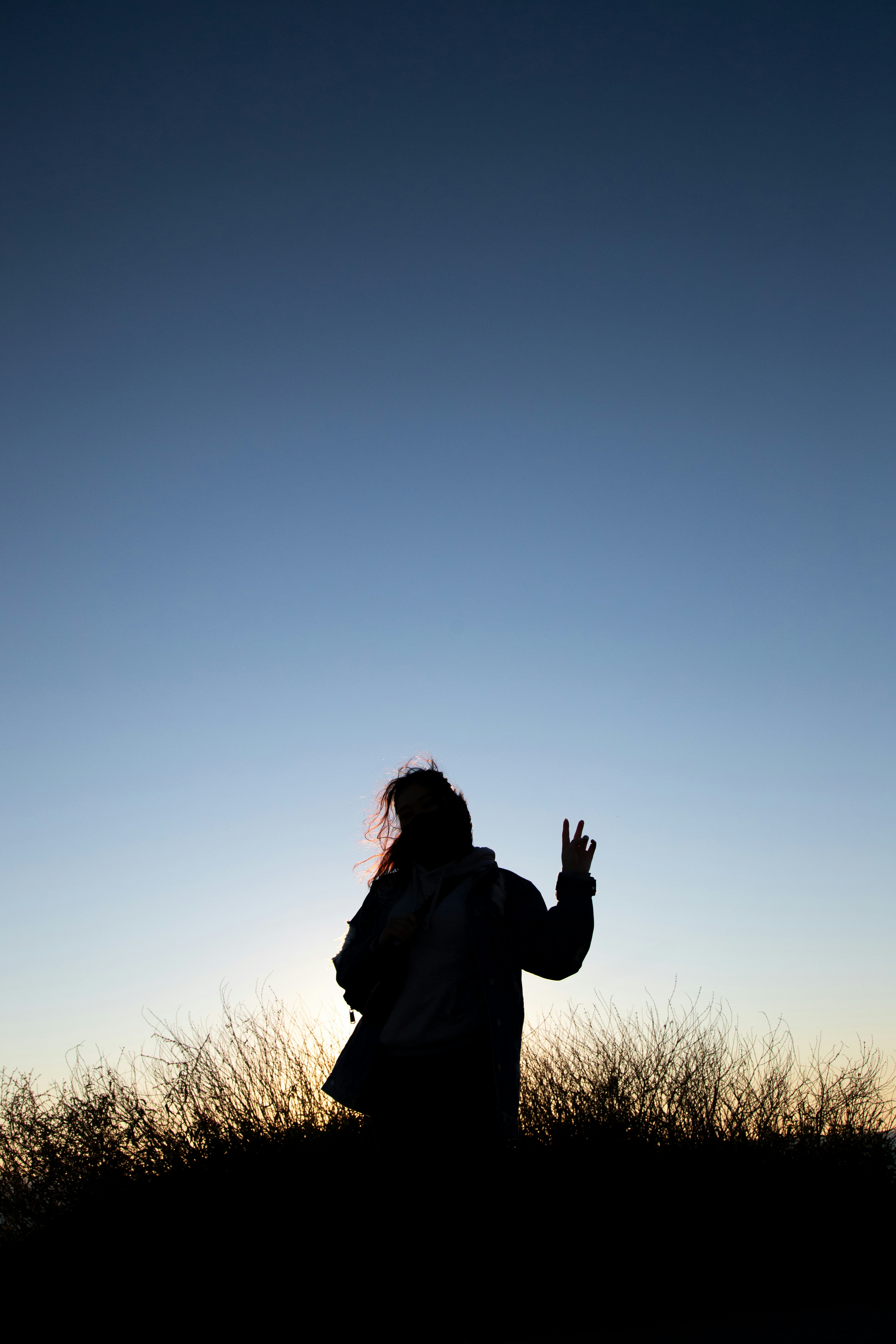 Silhouette at Dusk: A Lone Figure Among Whispering Grass
