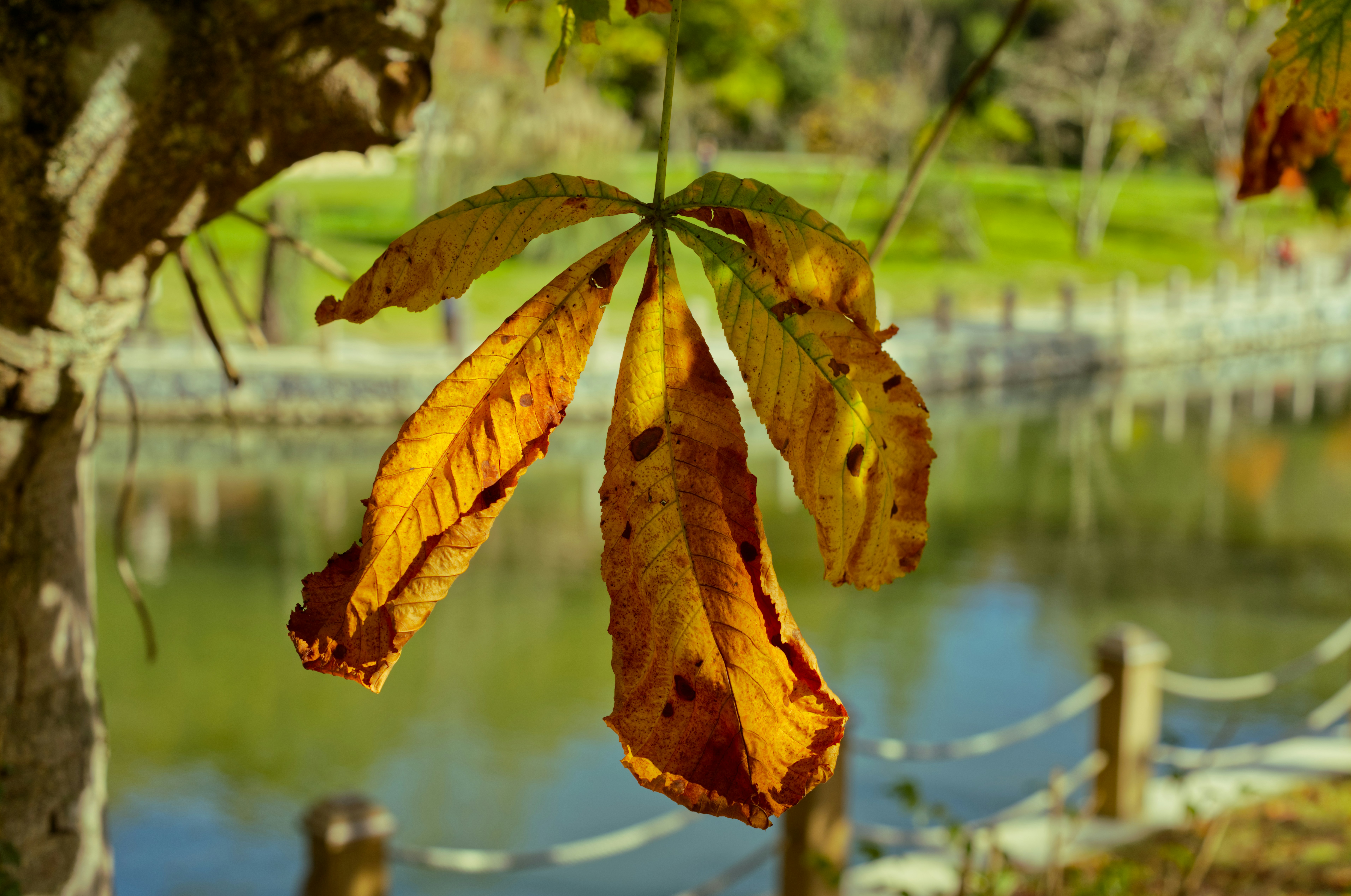 Photo by Ilker Ozmen with Fujifilm X-H2