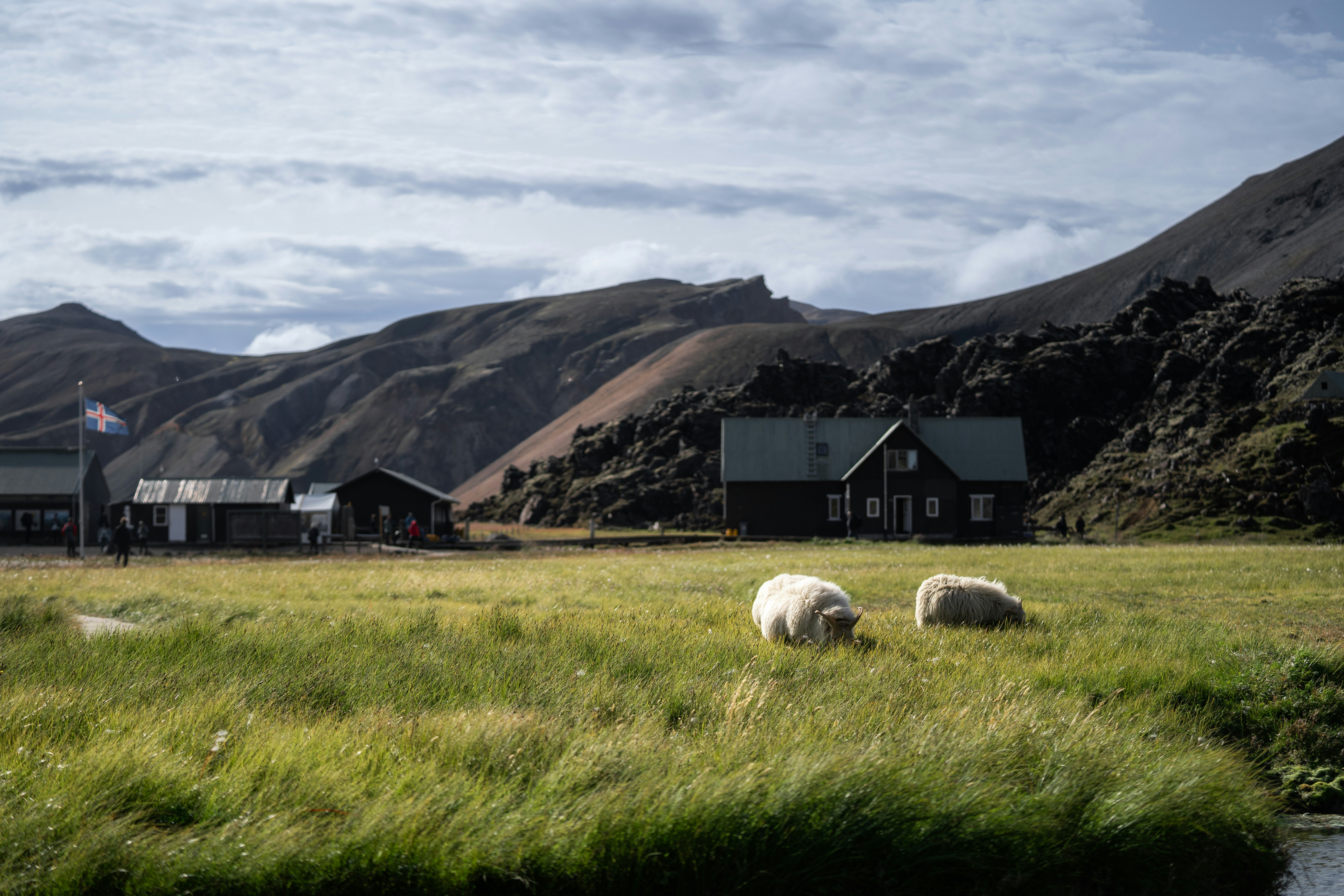 Photo by Spenser Sembrat with Sony Alpha 7 III