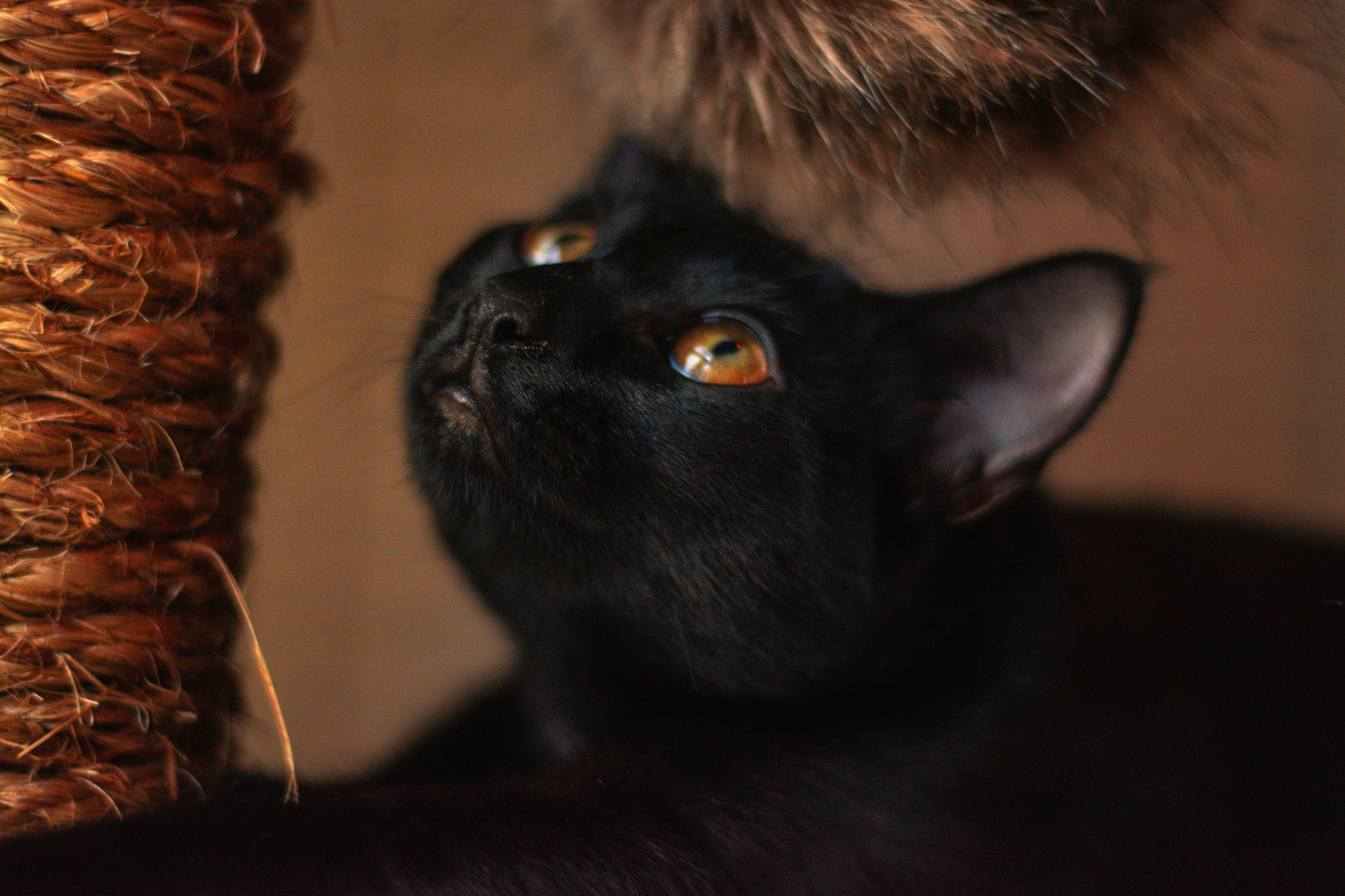 Photo by Meaghan Cafferty with Nikon D7100