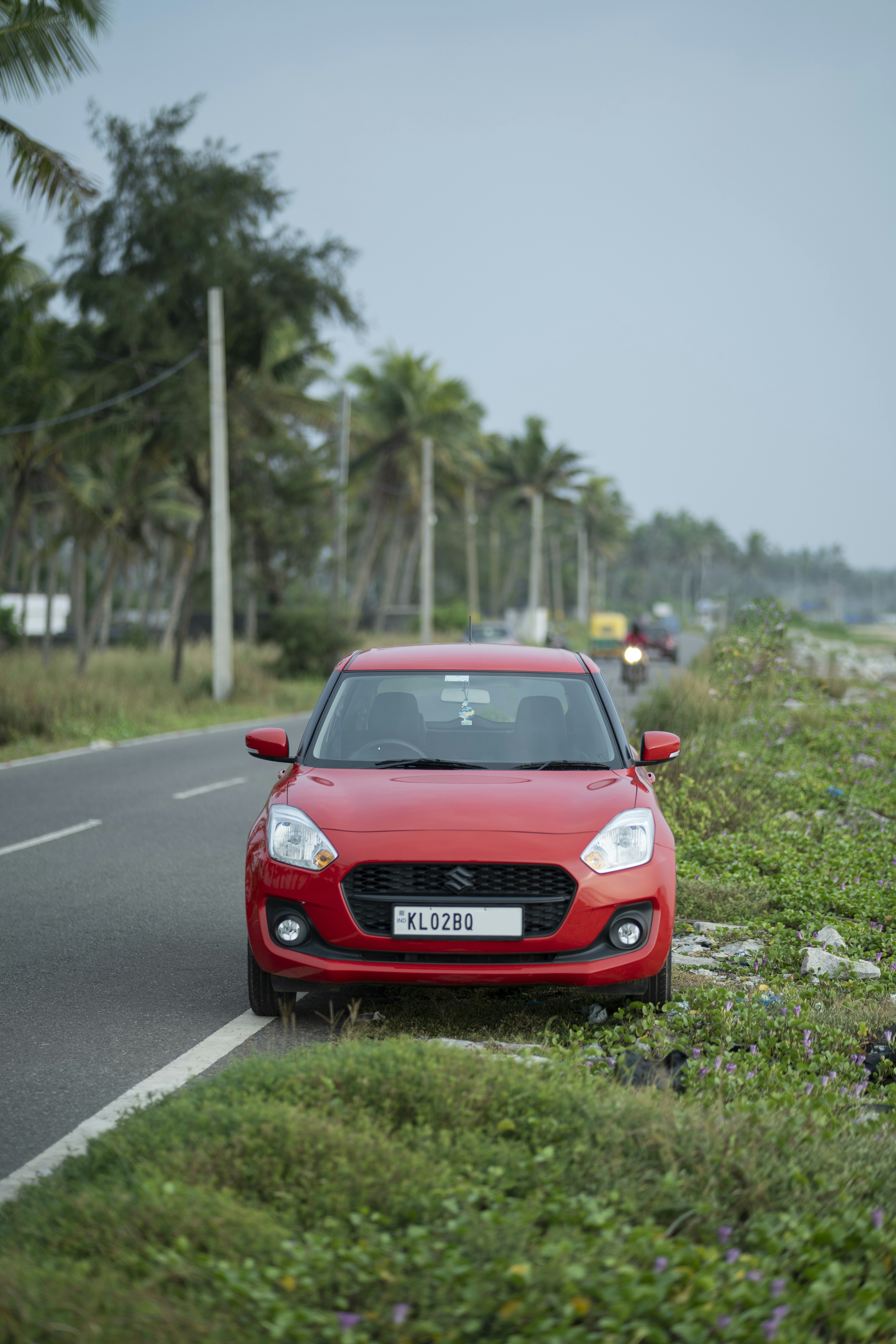 Swift Pictures | Download Free Images on Unsplash