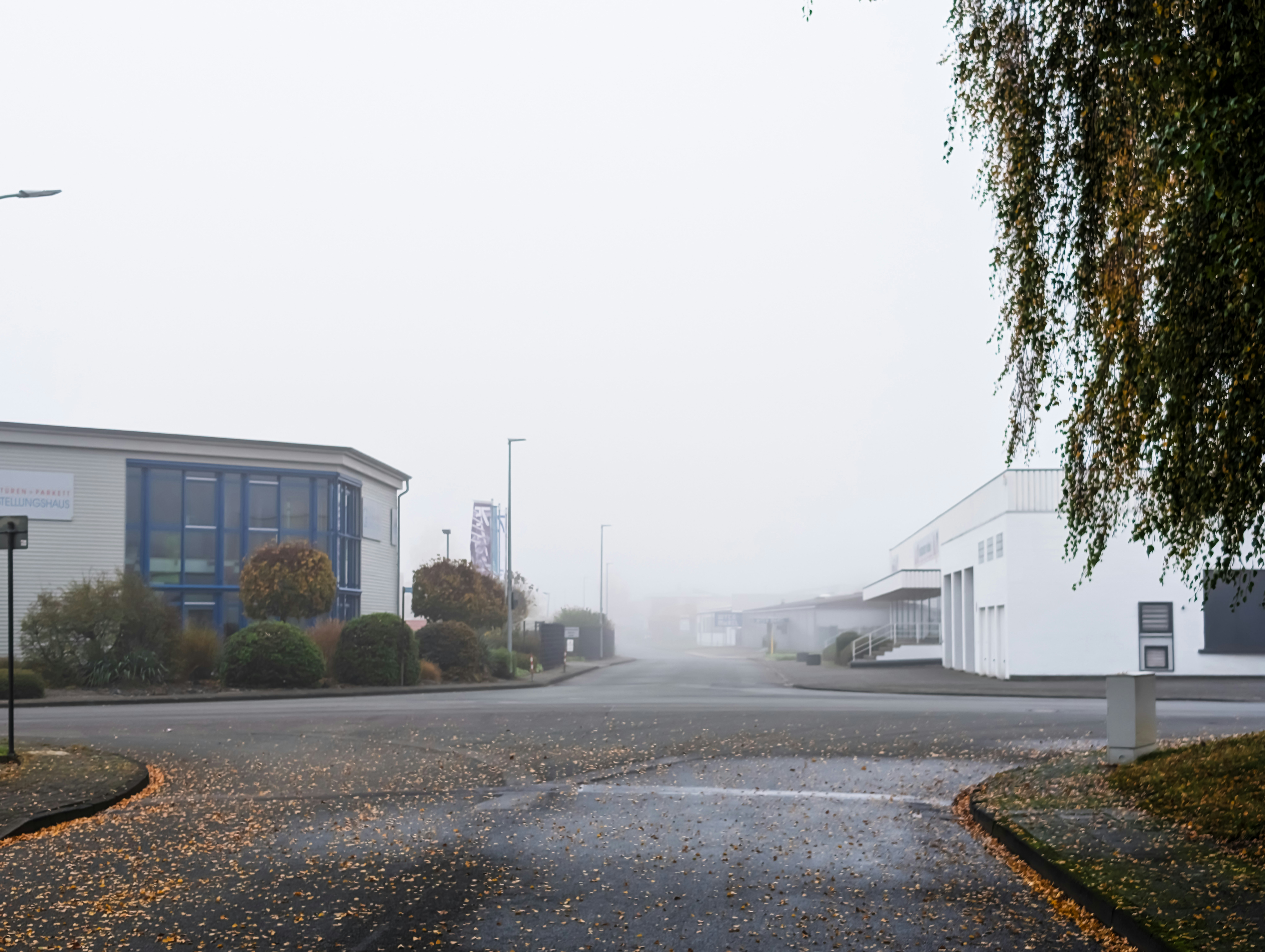 A foggy street with a building and trees photo – Free Nature Image on ...