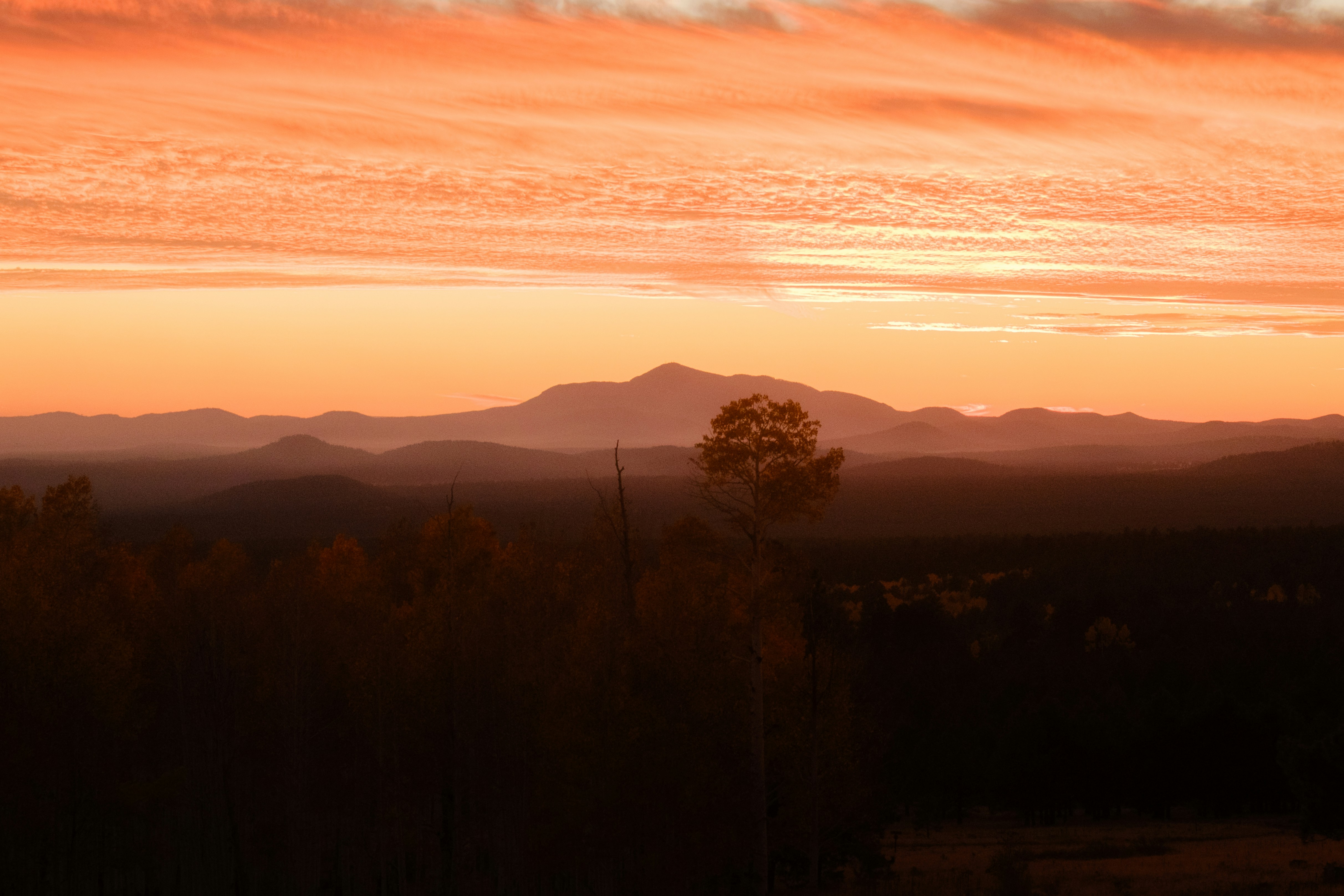 Jake Weirick (@weirick) | Unsplash Photo Community