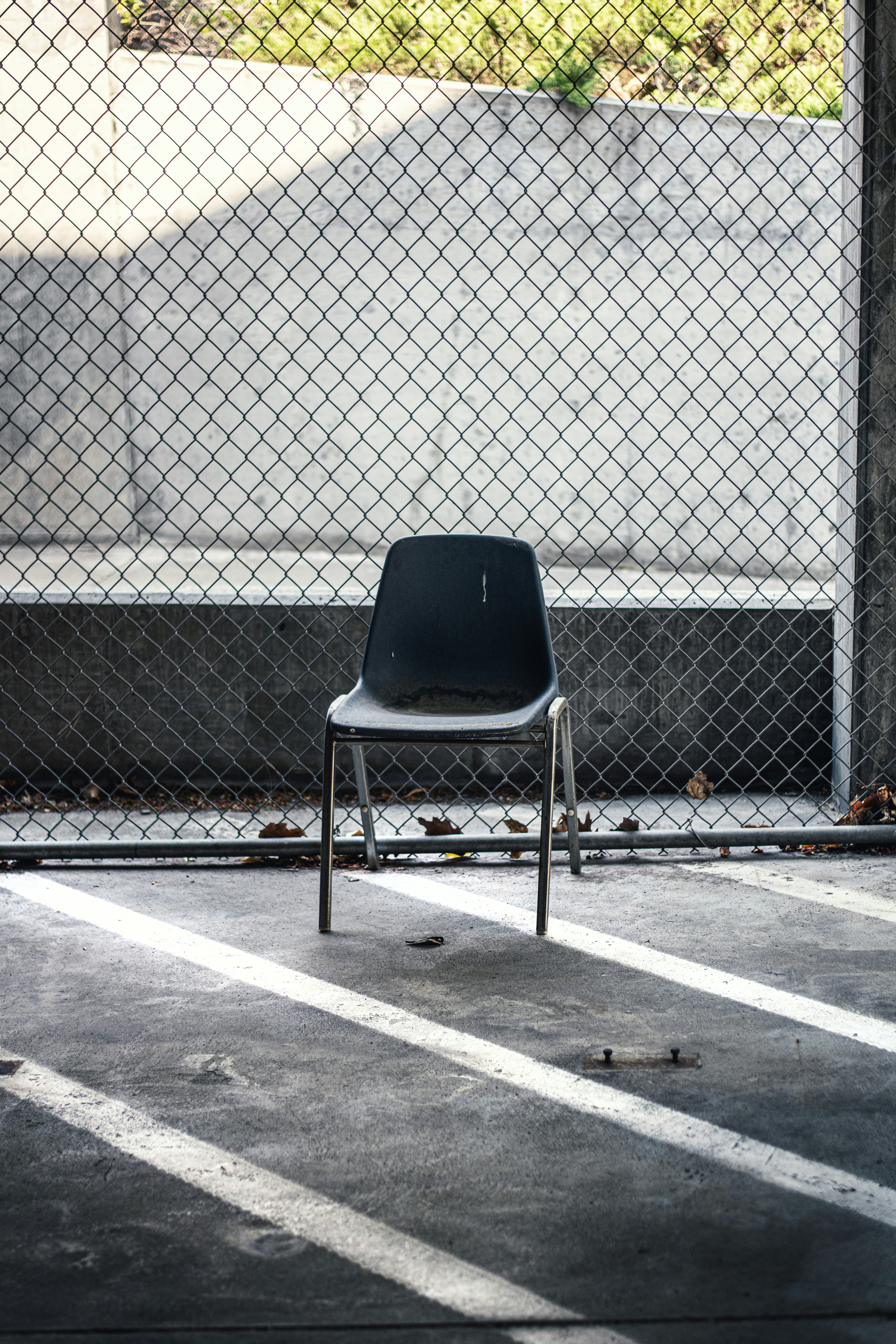 Photo by Steven Cordes with Nikon D850