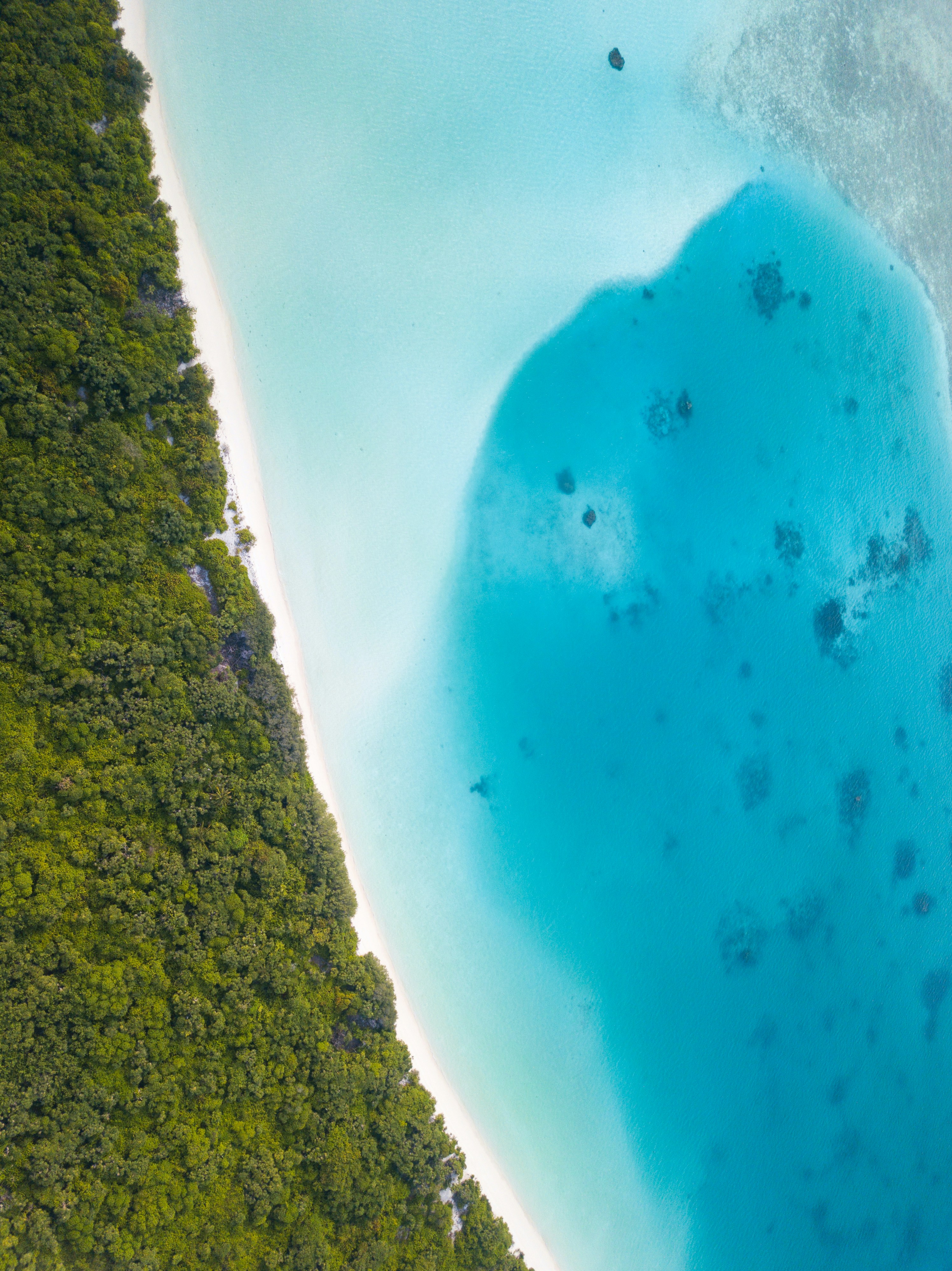 An aerial view of a blue lagoon in the middle of a tropical island ...