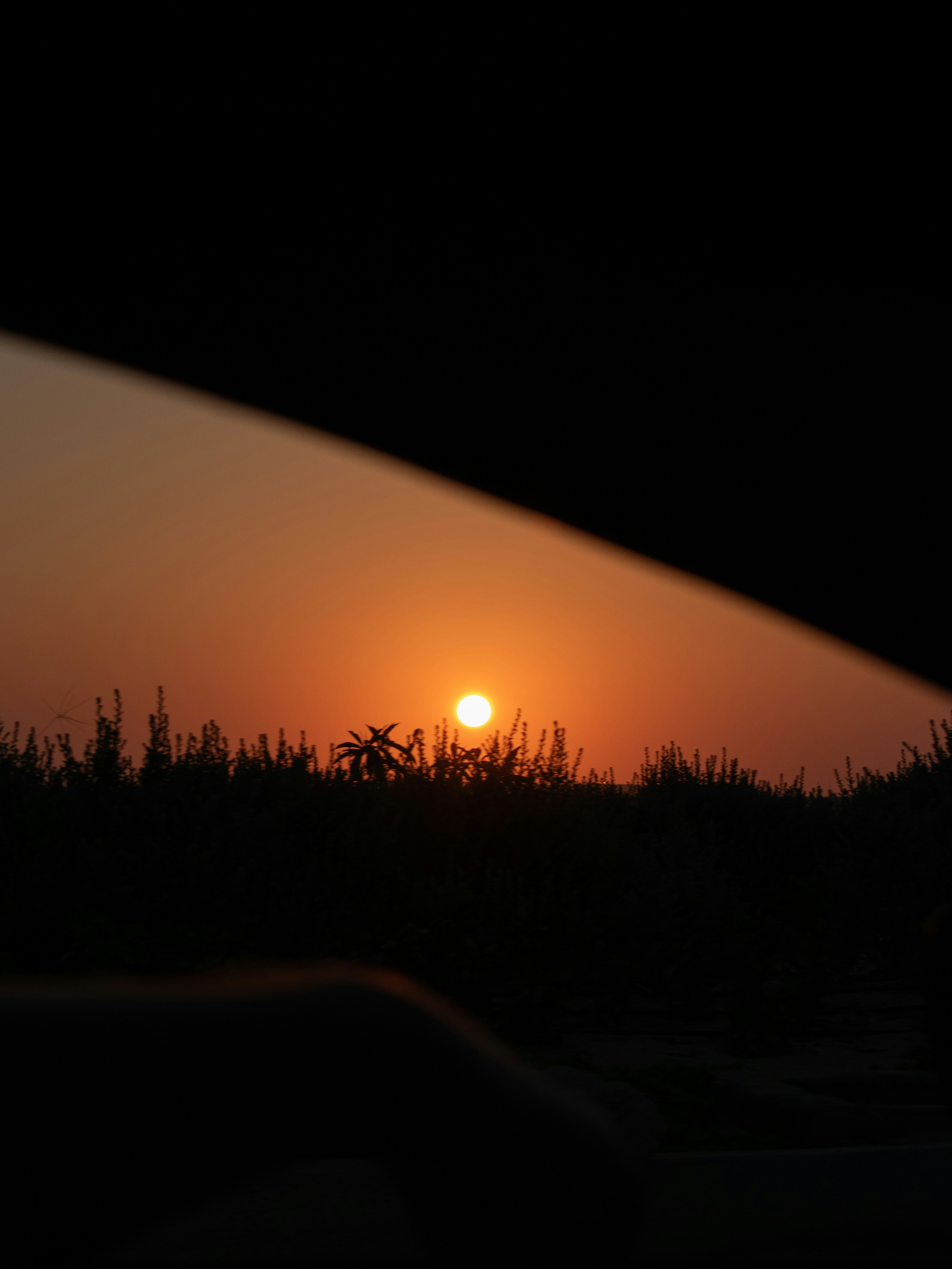 Curved Window, Quiet Sunset: Silhouetted Horizon in Warm Light