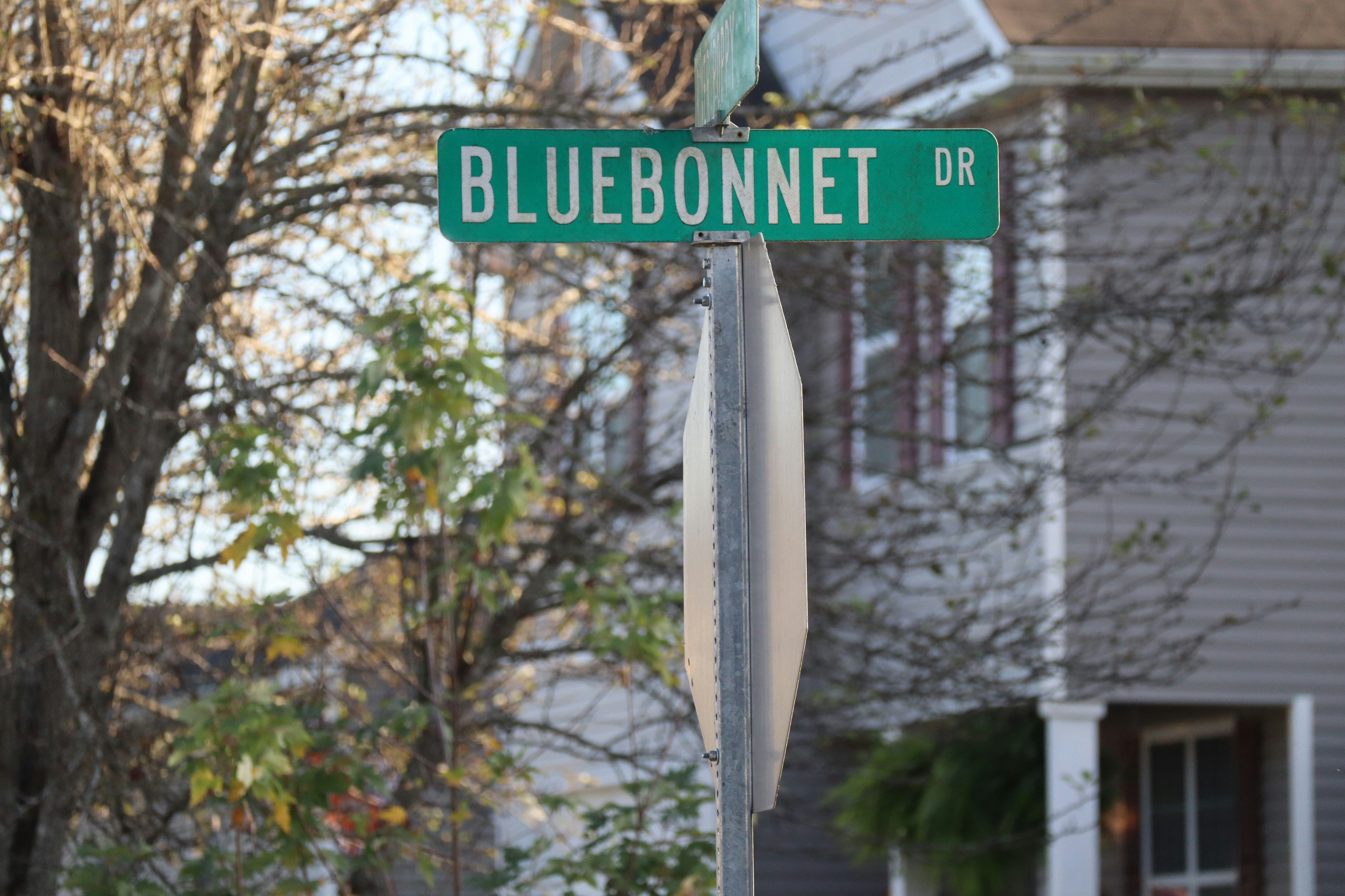 Here's your sign... to ice cream.