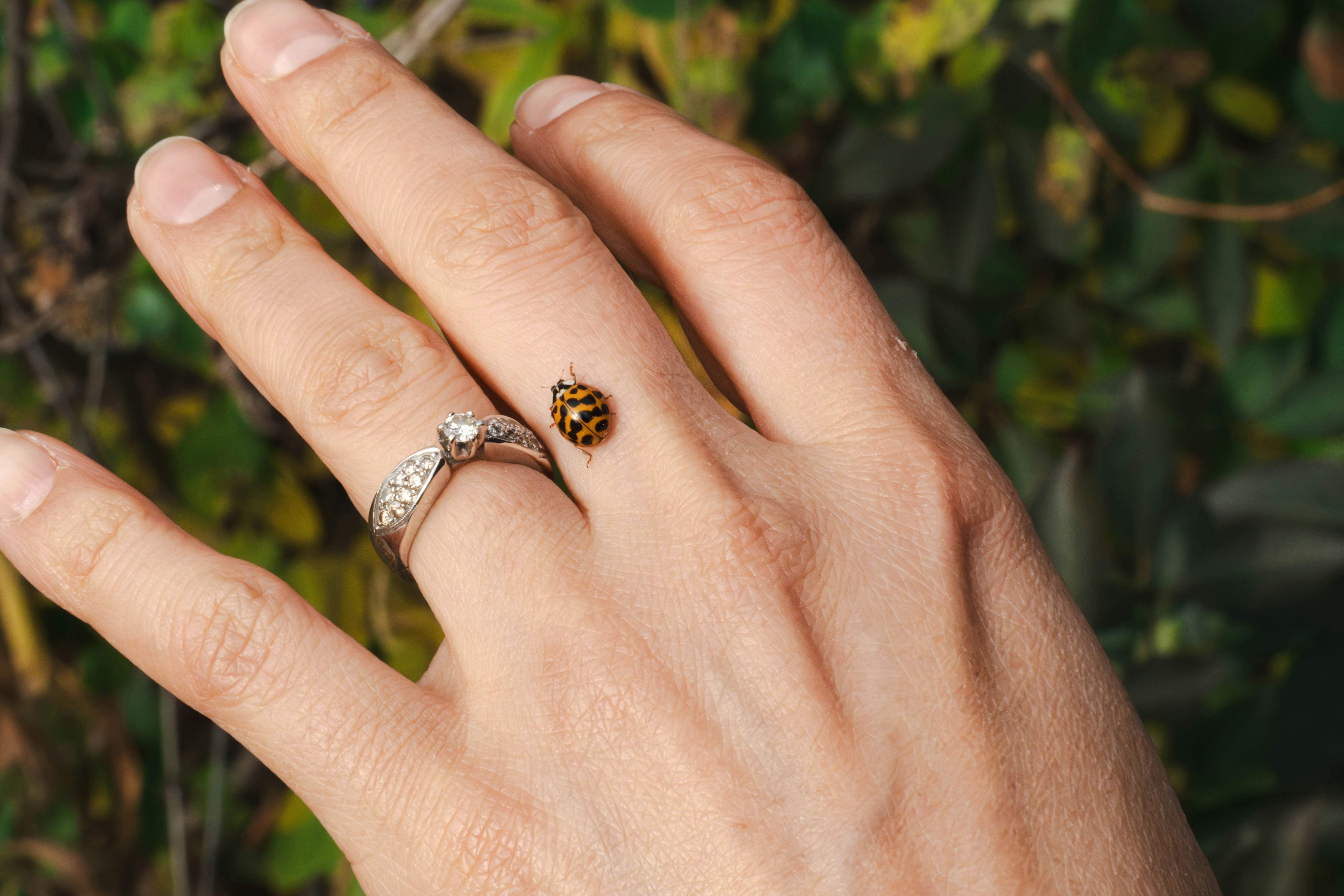 Hand adorned with a sparkling ring, showcasing a small ladybug perched on a finger amidst lush greenery.