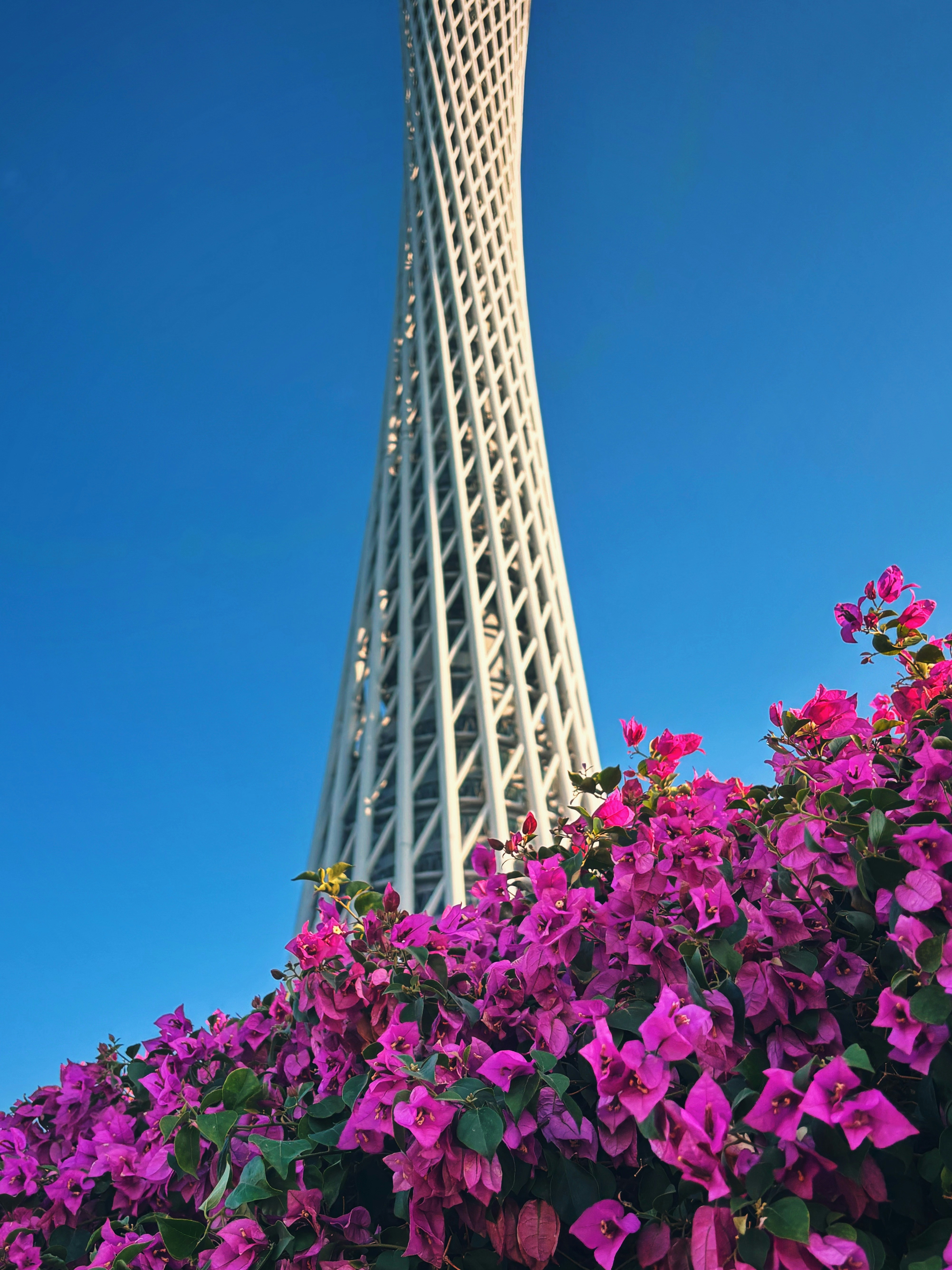 Photo by Jiameng Yuan with Apple iPhone 15