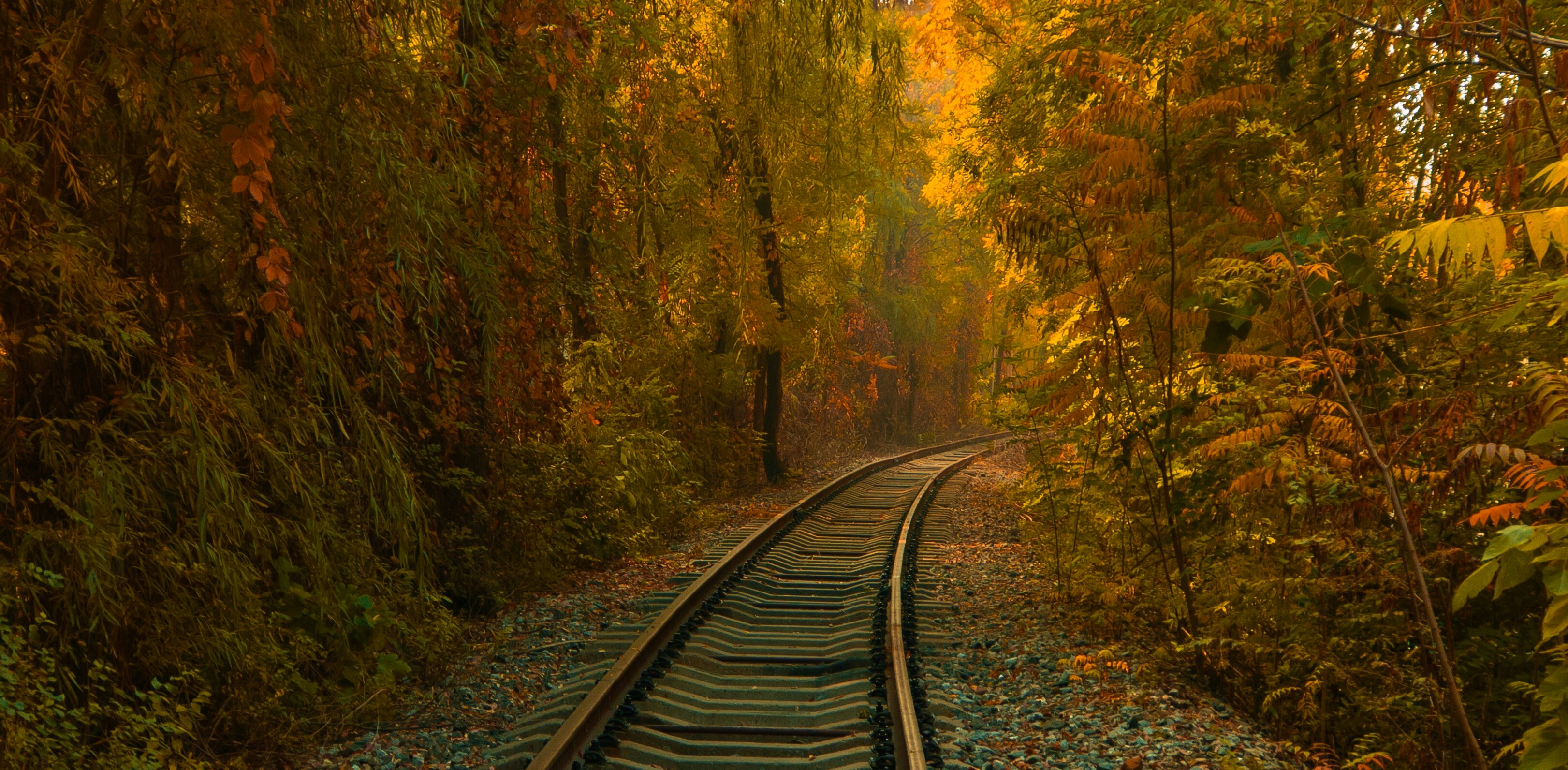 Between Autumn Rails: A Quiet Descent into the Tracks
