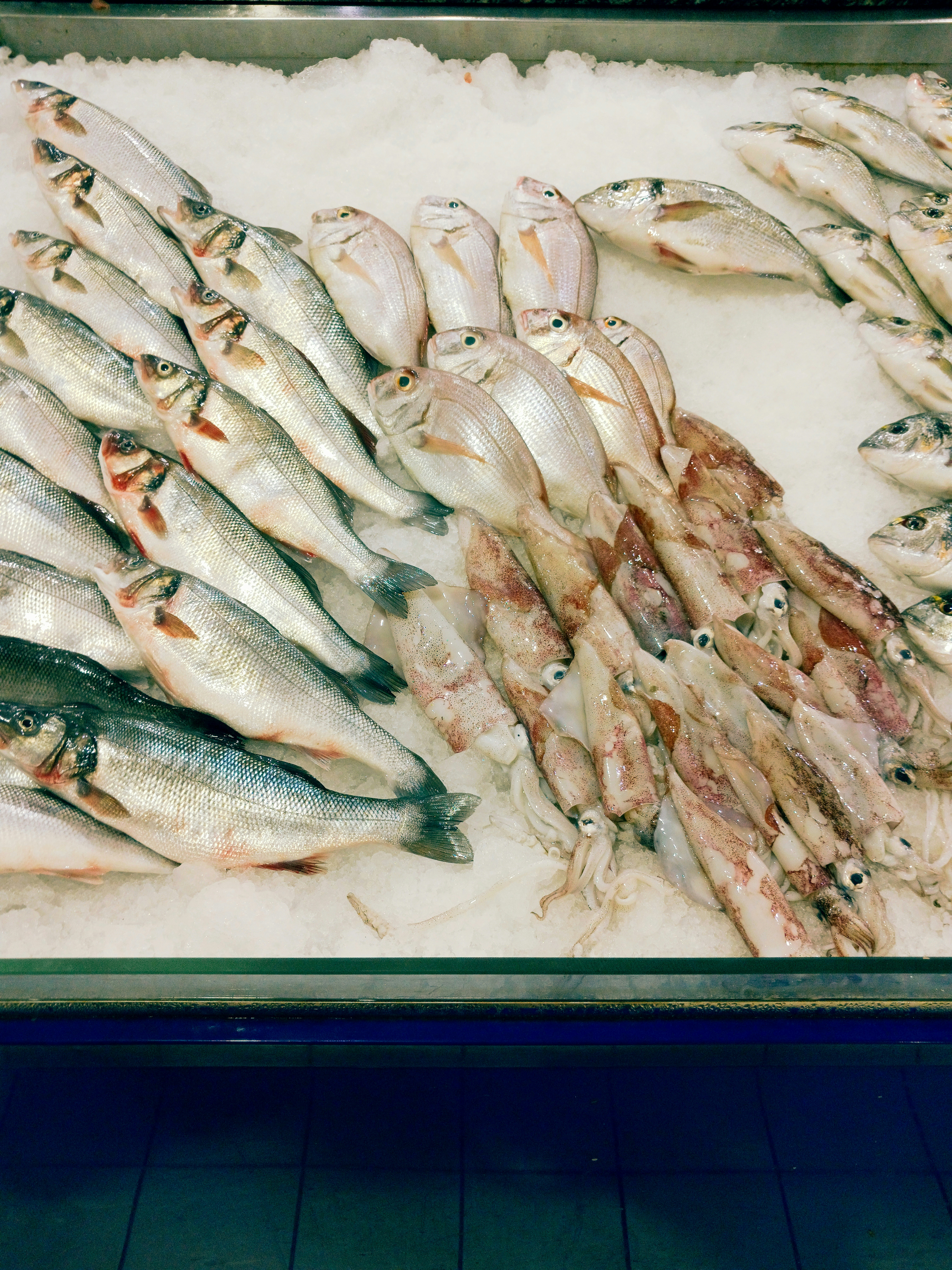 Sample photo from Samsung Galaxy A24