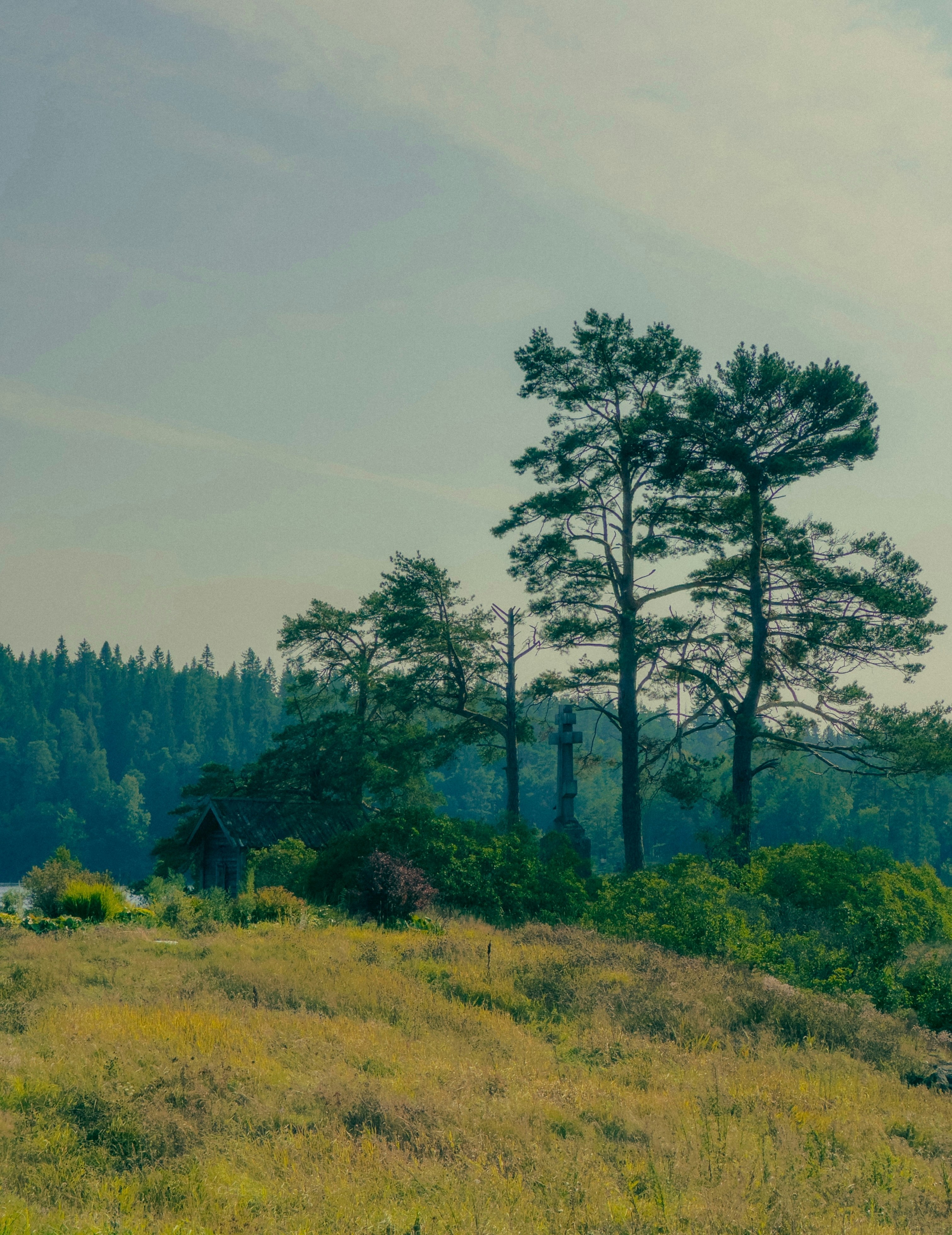 Photo by Konstantin Jourgel with Apple iPhone 14 Pro Max