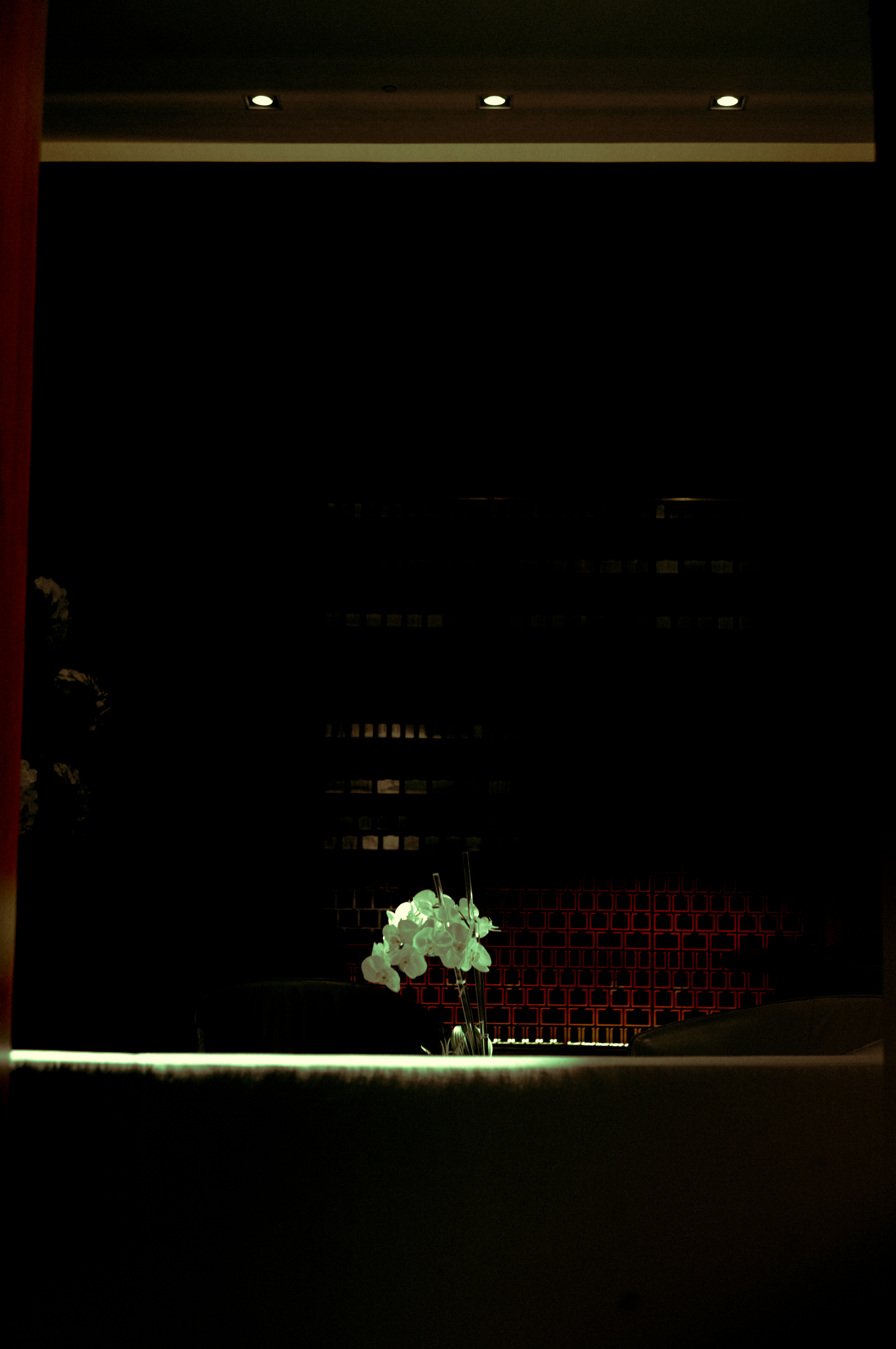 A lone orchid in a dim theater of shadows