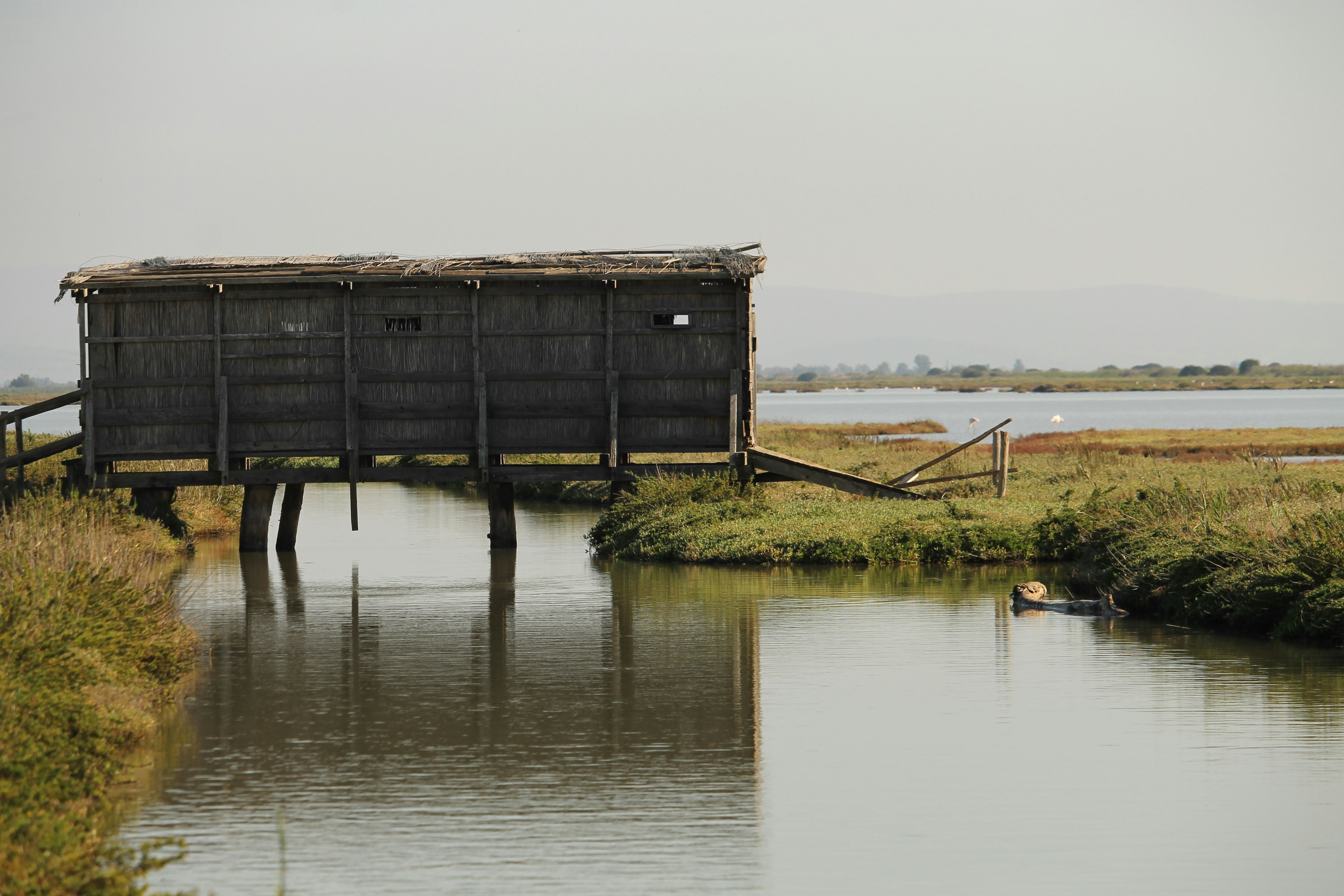 Stilted Shack Over a Quiet Marsh Channel