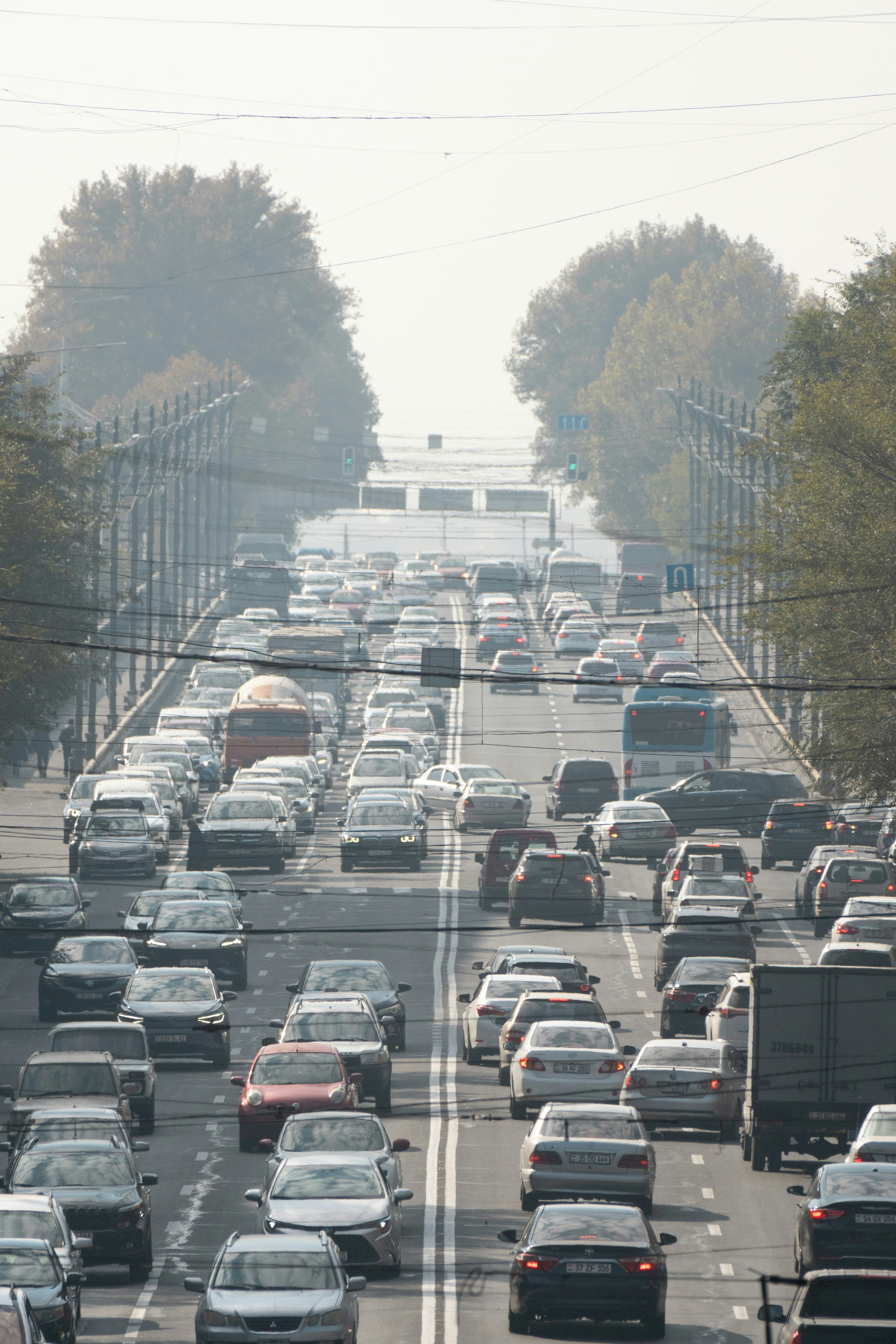 Photo by Dima Solomin with Sony Alpha 6600