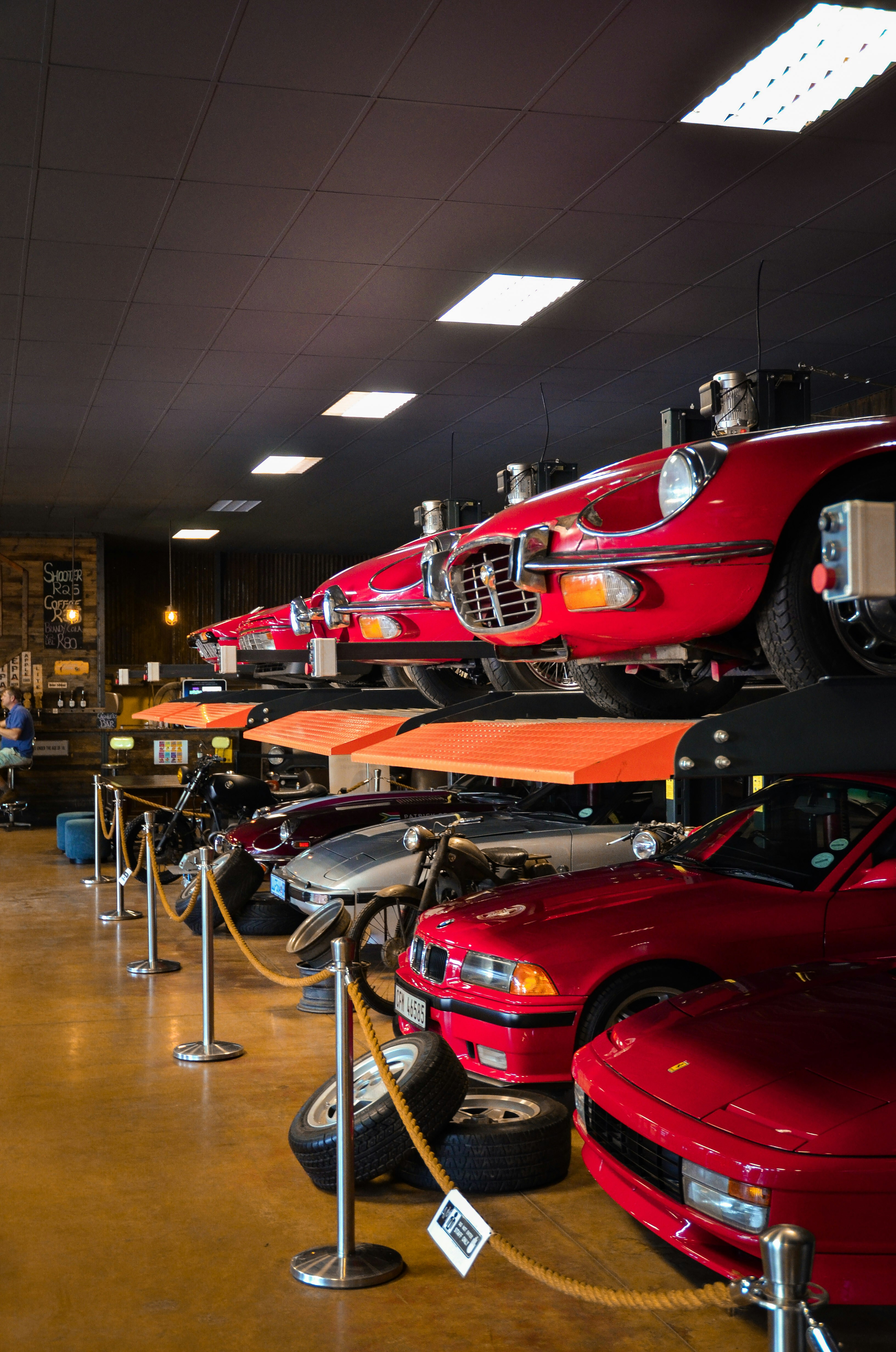 A Vintage Showcase: The Art of Automotive Preservation