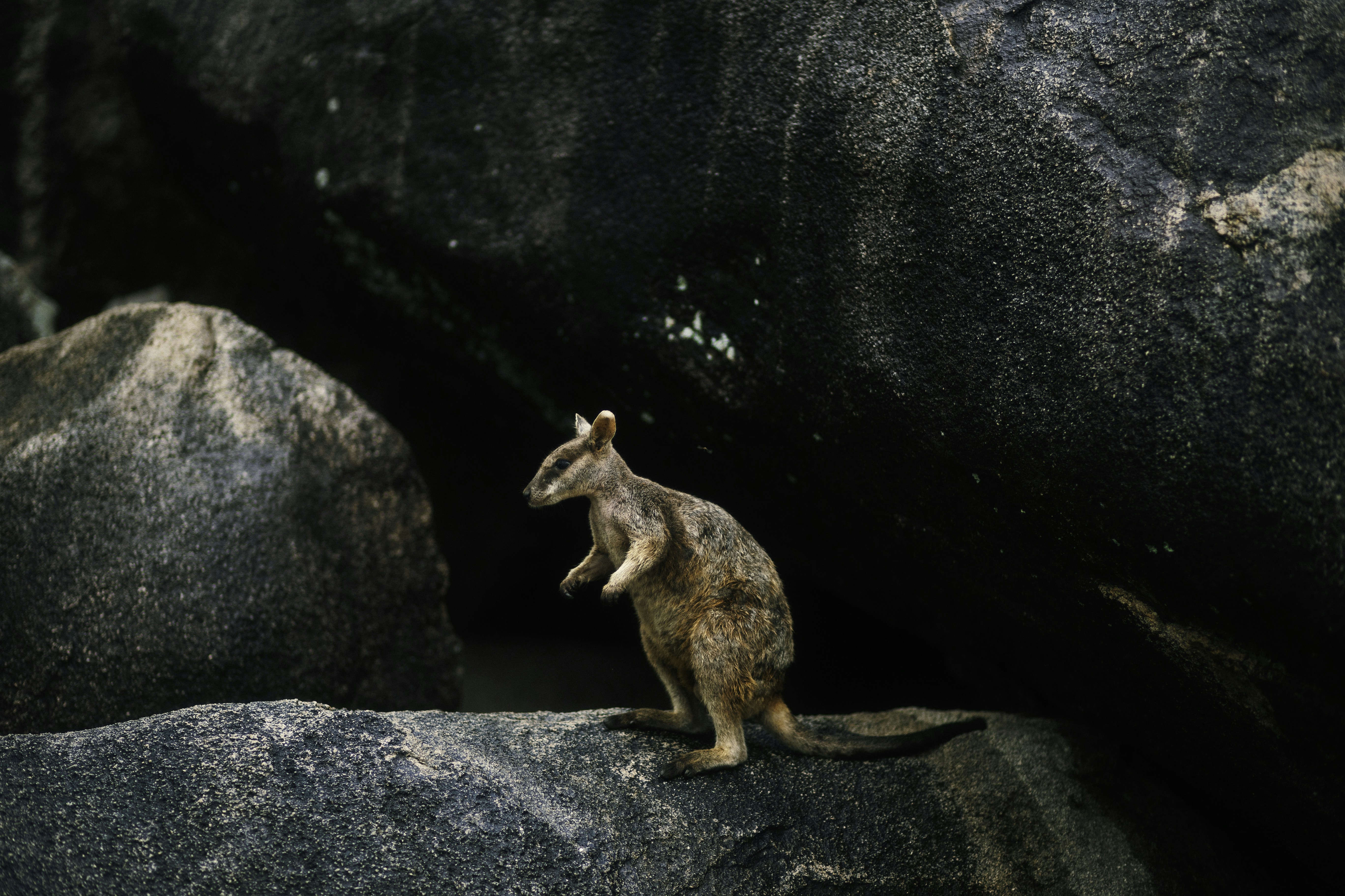 Photo by BehindTheTmuna with Canon EOS R6