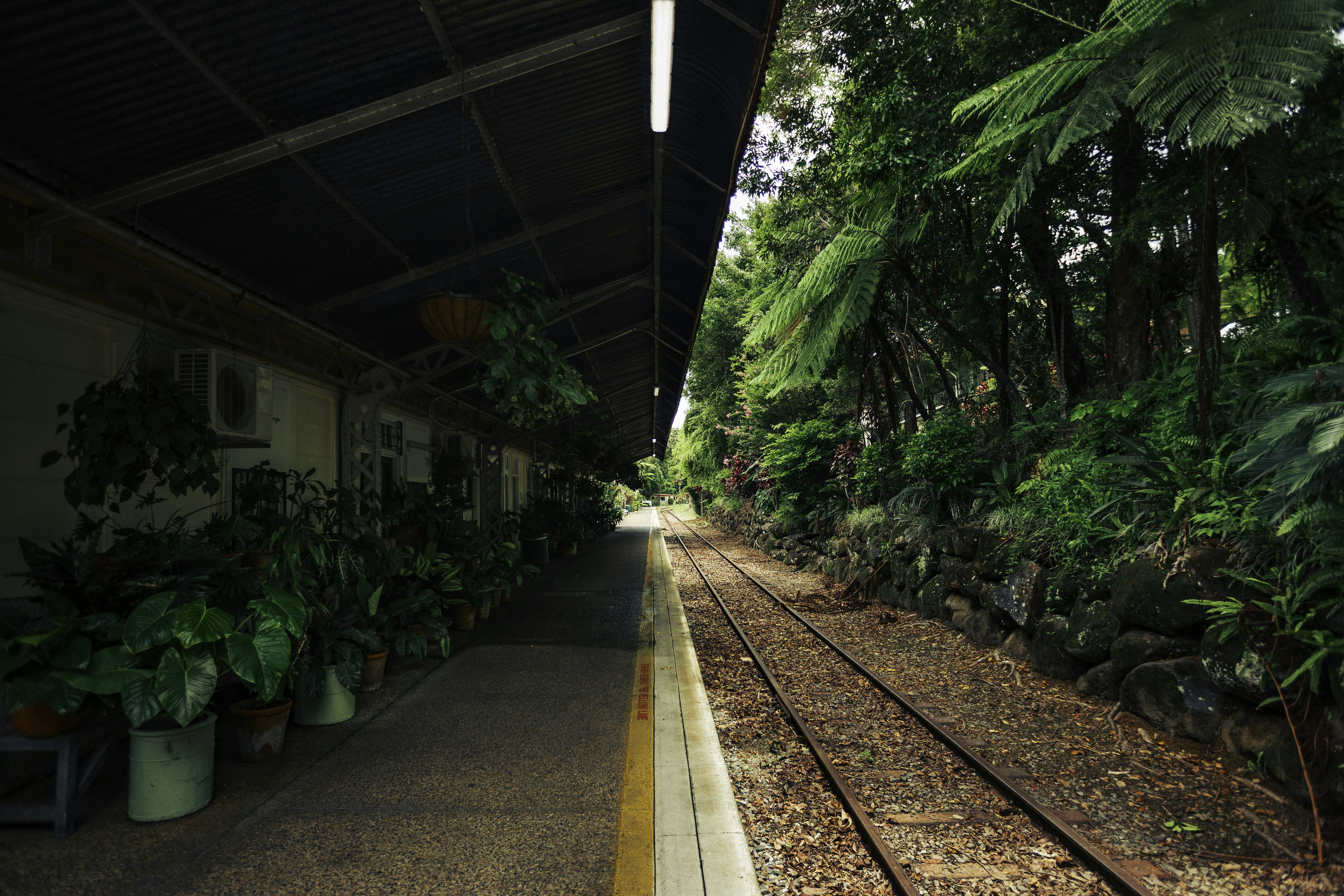 Photo by BehindTheTmuna with Canon EOS R6