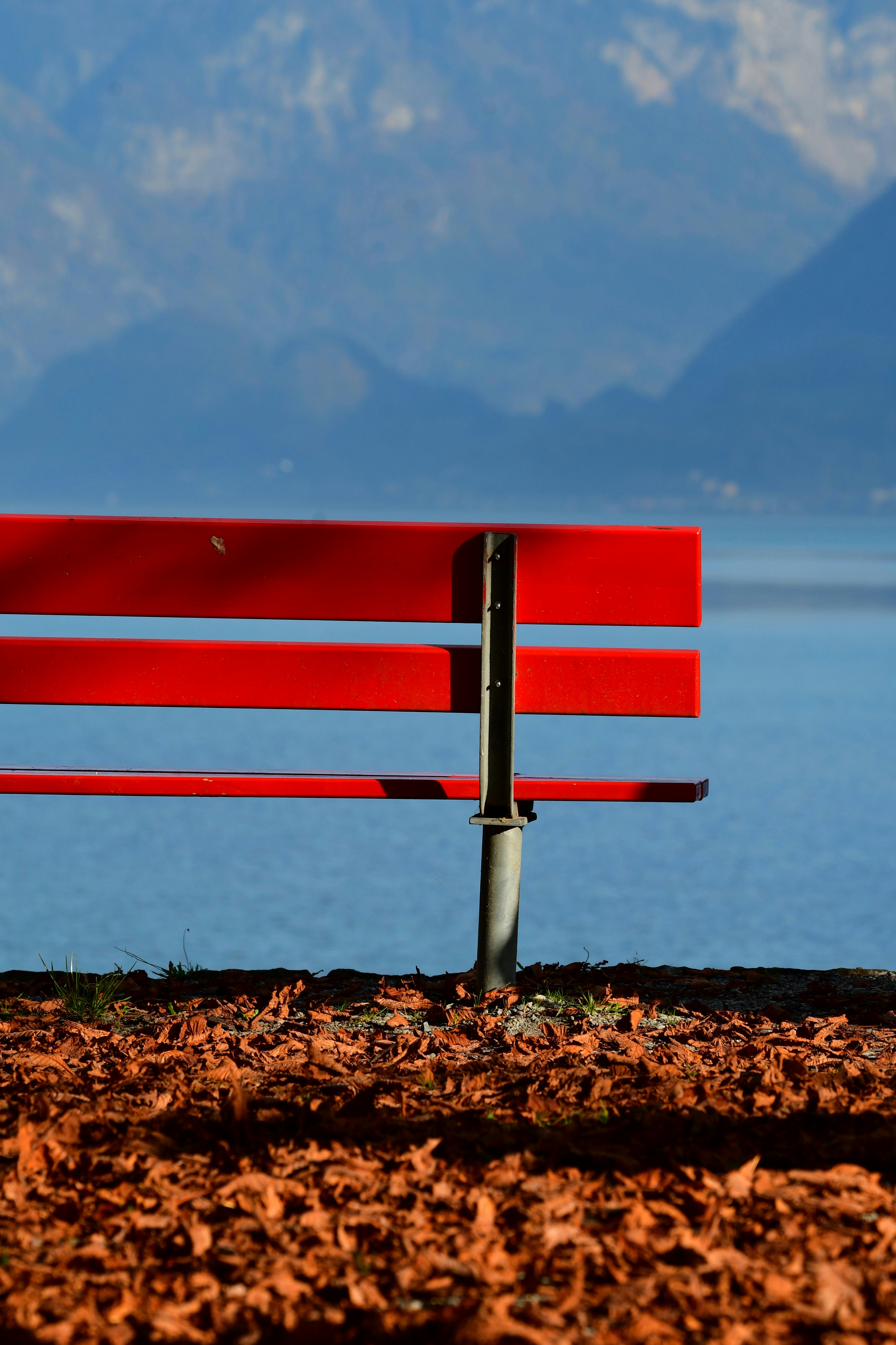 Scarlet Bench by the Glacier-Blue Lake: A Quiet Shoreline Moment