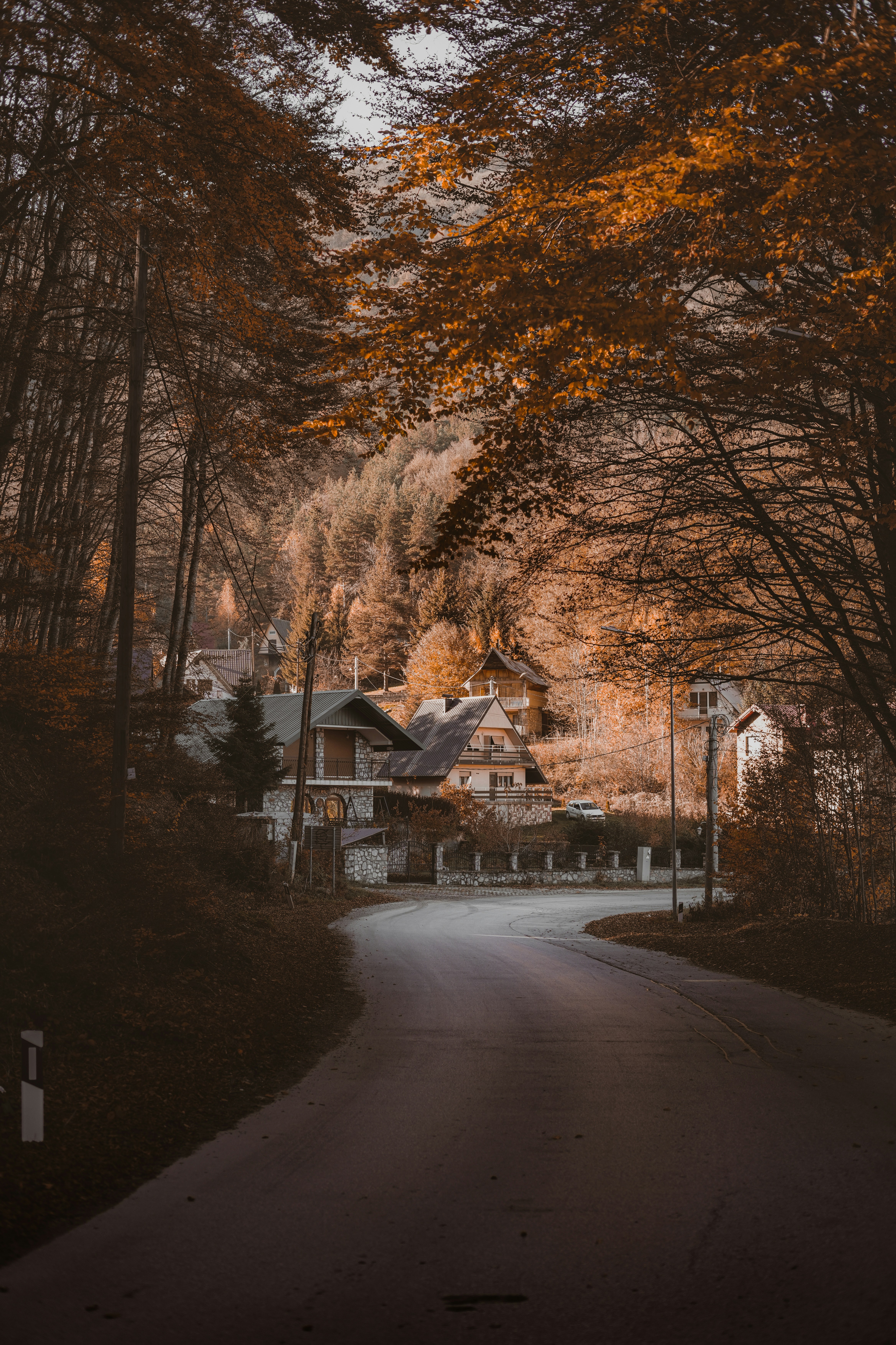 Autumn's Embrace: A Serene Journey Through Rustic Charm
