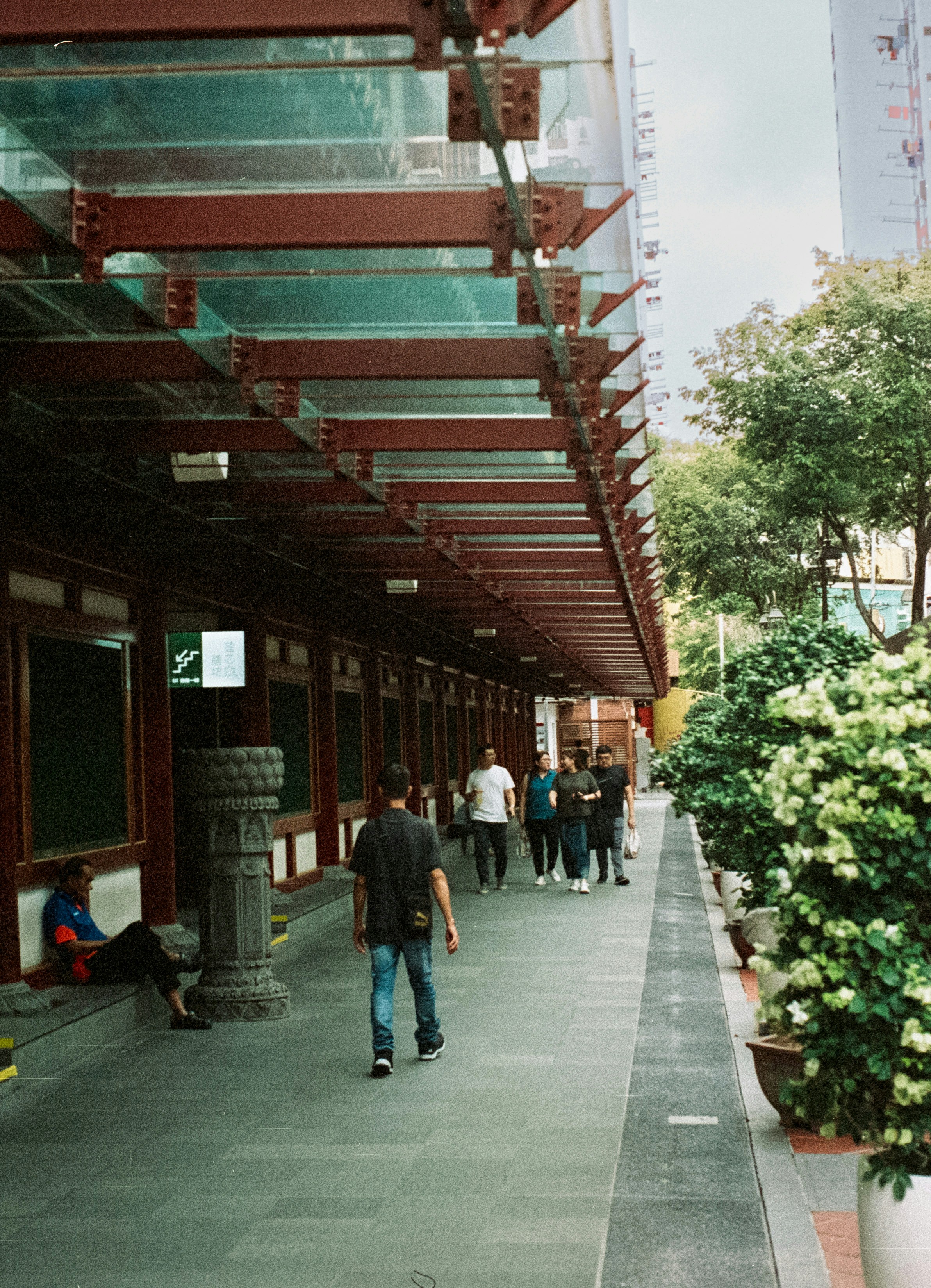 Pedestrian Rhythm Beneath a Glass Canopy