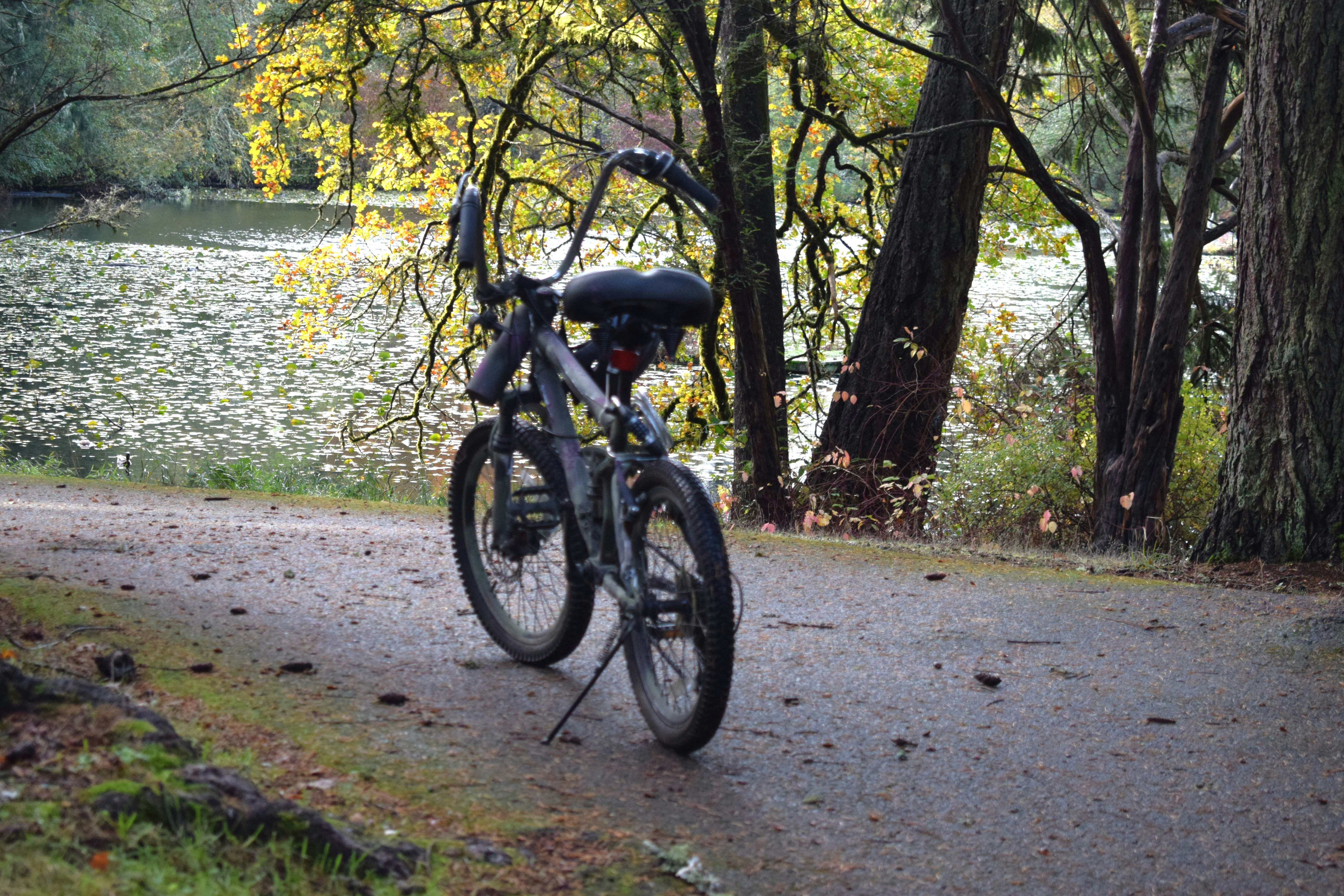 Autumn Lakeside Pause: Bicycle Resting on a Gravel Path